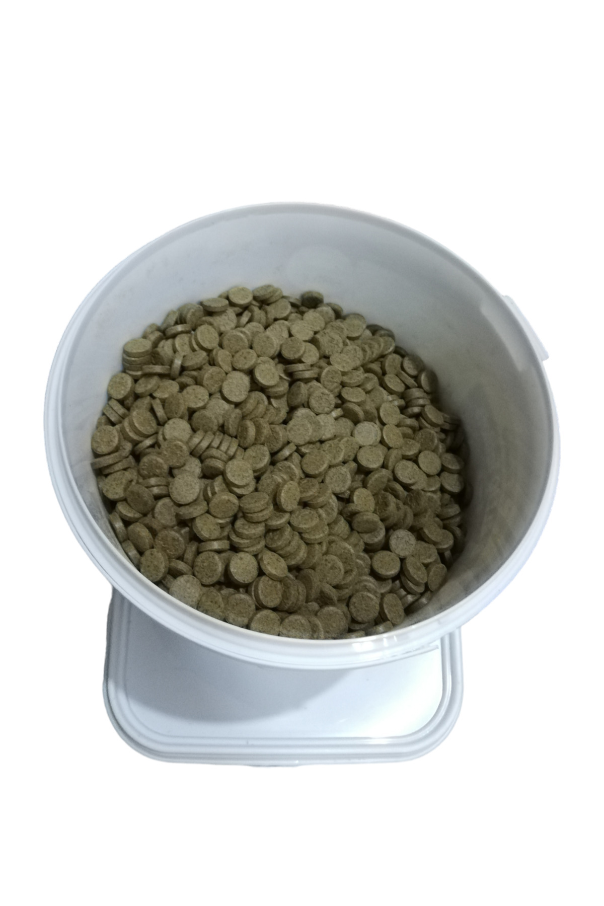 Tropical Cama Yapışan Tablet Yem, Tropical D-Allıo Tablets 100 adet 40 ...