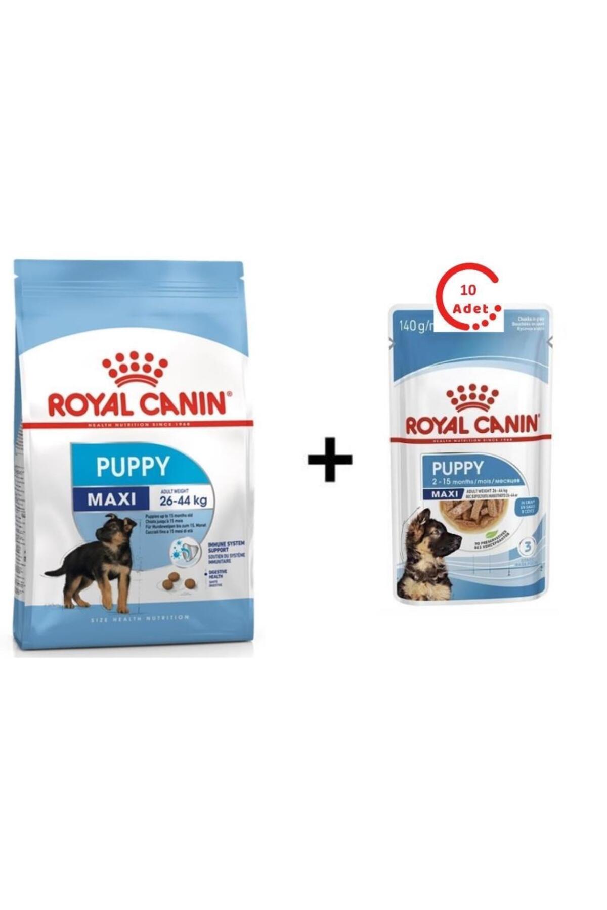 Royal Canin Maxi Puppy Köpek Maması 15 kg + 10 Adet Royal Canin Maxi ...