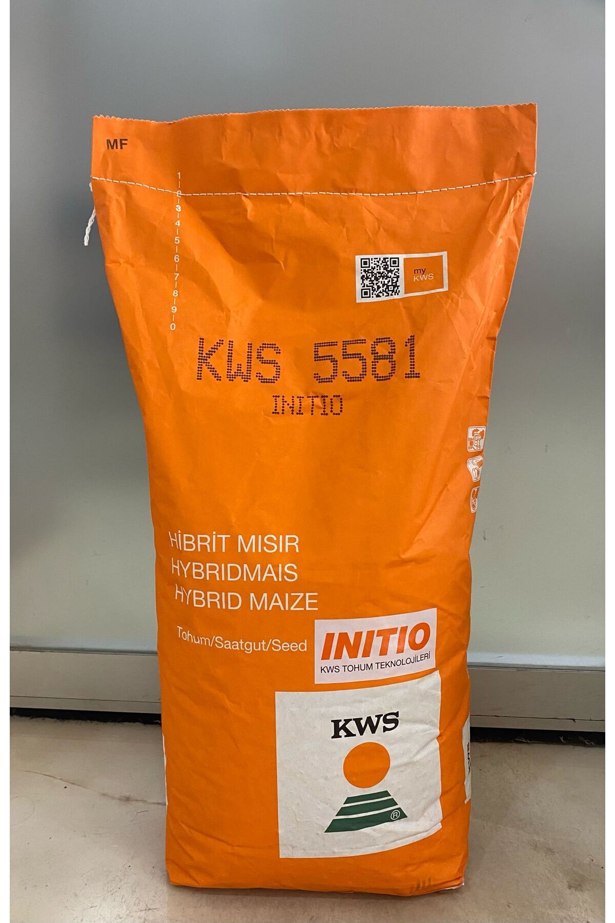 KWS MISIR TOHUMU 5581 Fiyatı, Yorumları - Trendyol