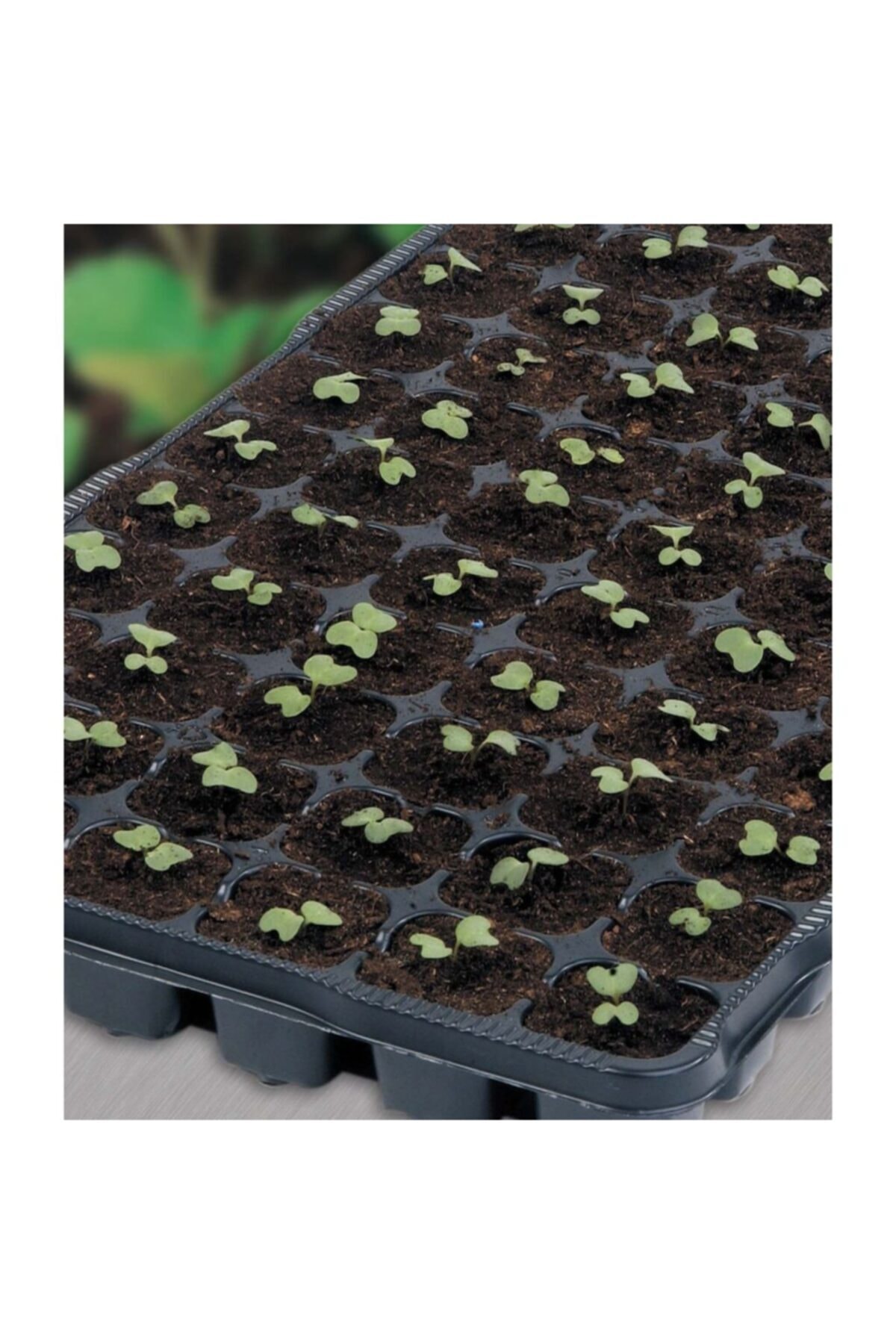 Gartengold Cocopeat Hindistan Cevizi Kabuğu Kokopit Blok 4-5 kg 60-75 ...