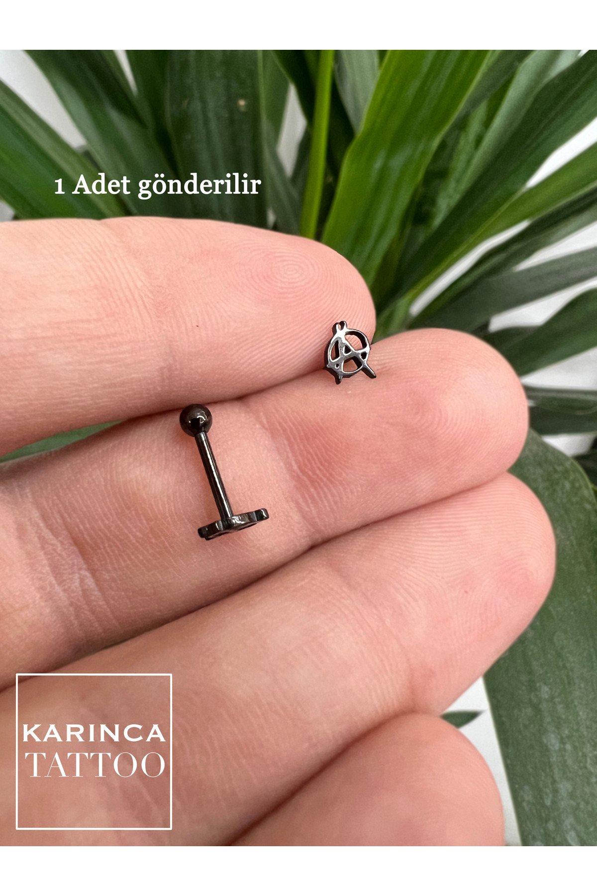 Karınca Piercing Anarşi Sons Of Anarchy Düz Çubuk Kulak Forward Helix ...