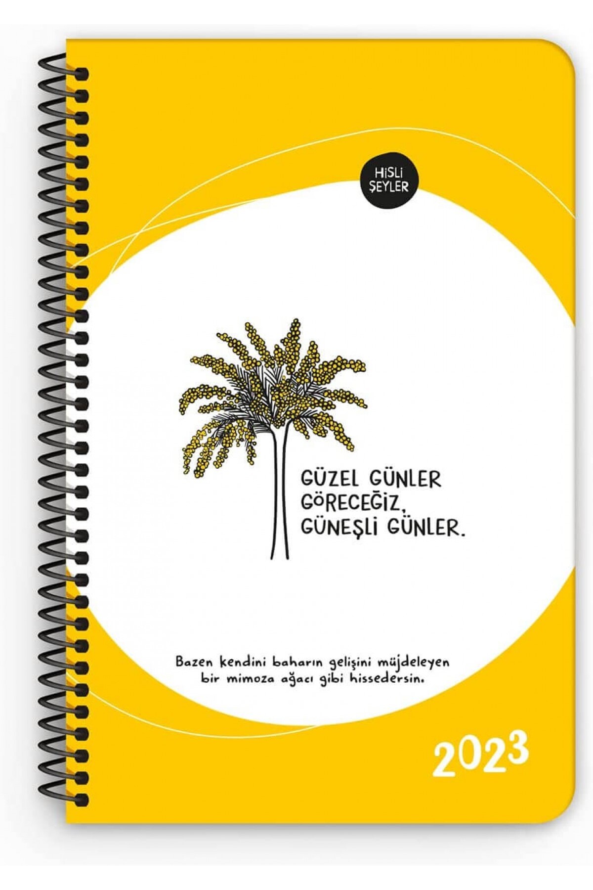 Hisli Şeyler 2023 13x19,5cm Haftalık Ajanda - Güzel Günler Göreceğiz ...