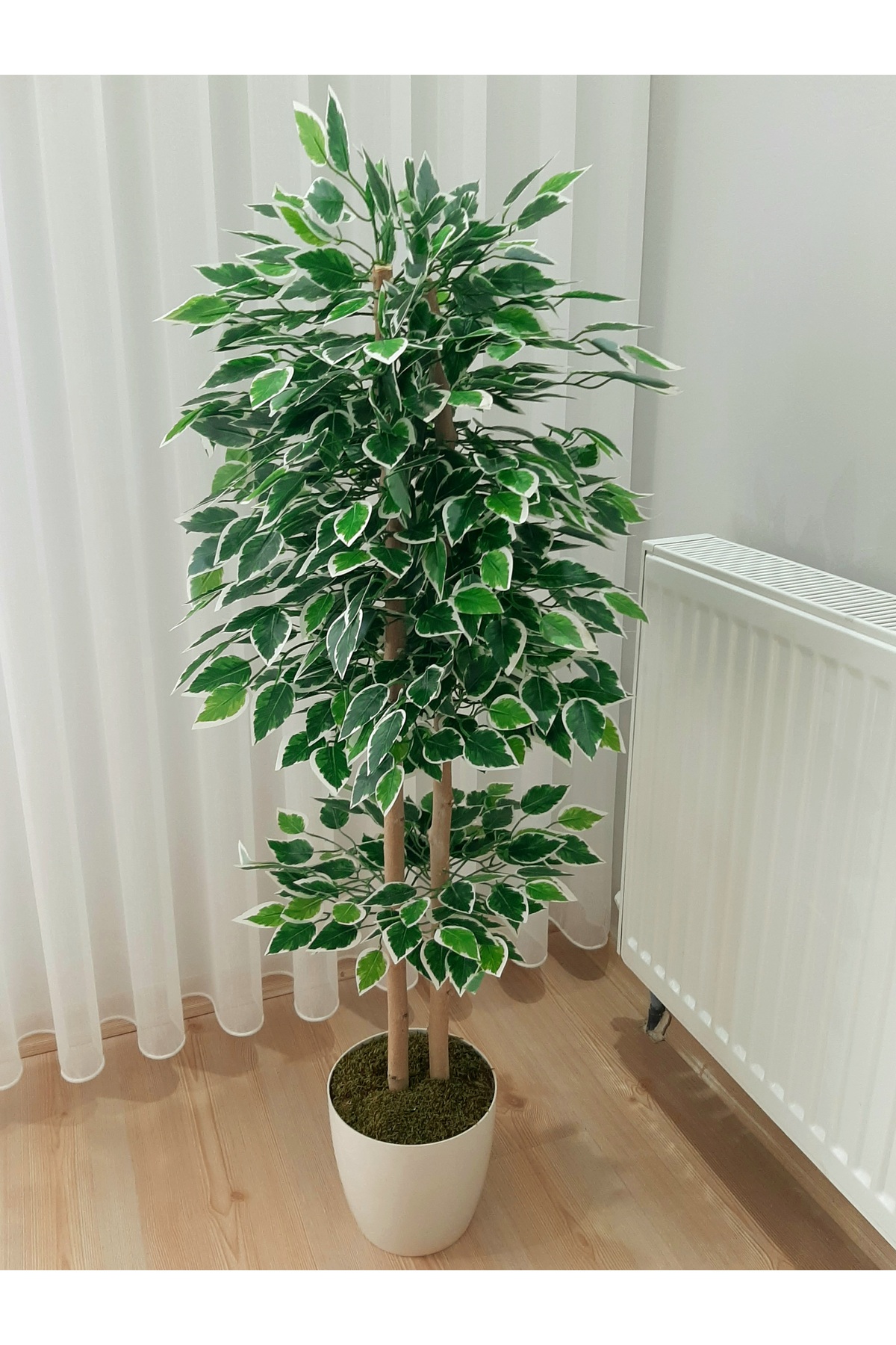 SeR Hediyelik Büyük Salon Bitkisi, Beyaz Saksıda Yapay Benjamin Ağacı ...