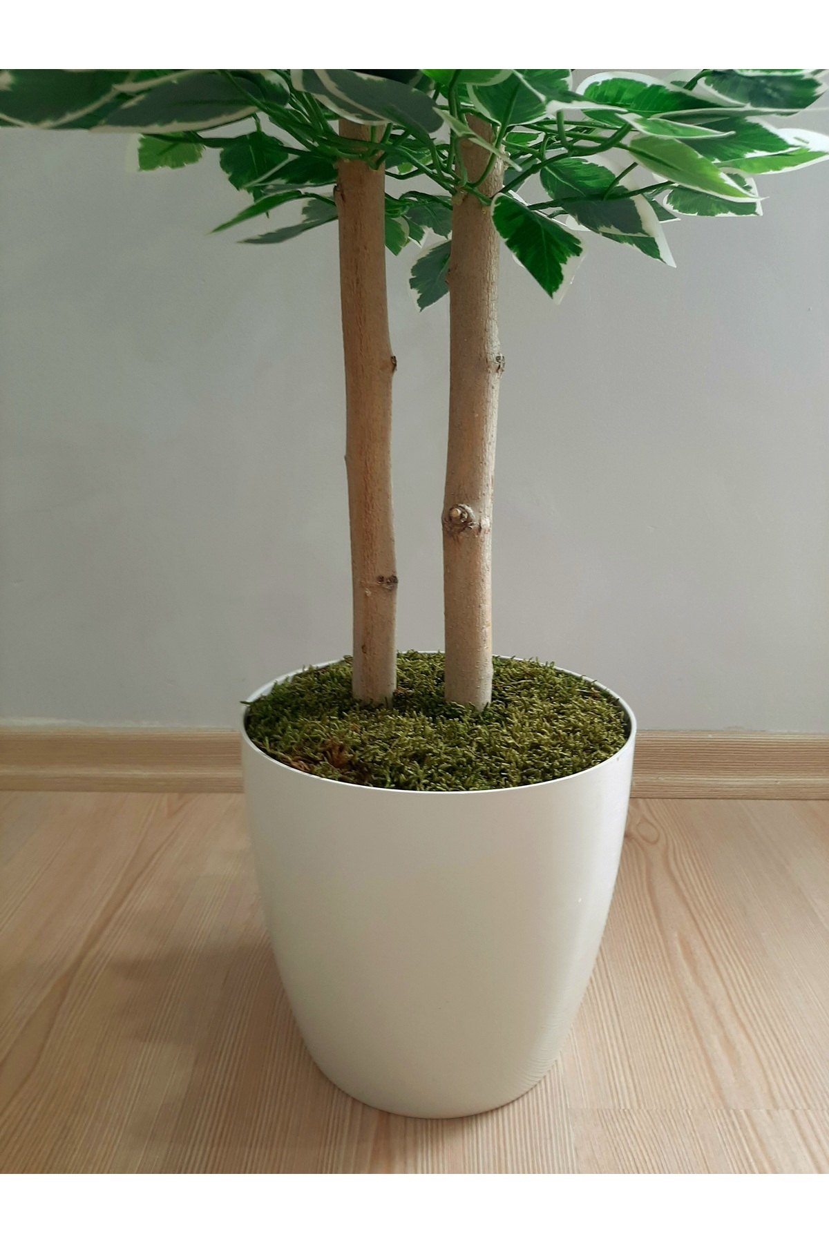 SeR Hediyelik Büyük Salon Bitkisi, Beyaz Saksıda Yapay Benjamin Ağacı ...