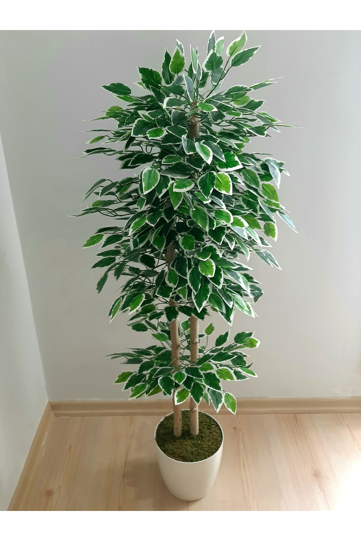 SeR Hediyelik Büyük Salon Bitkisi, Beyaz Saksıda Yapay Benjamin Ağacı ...