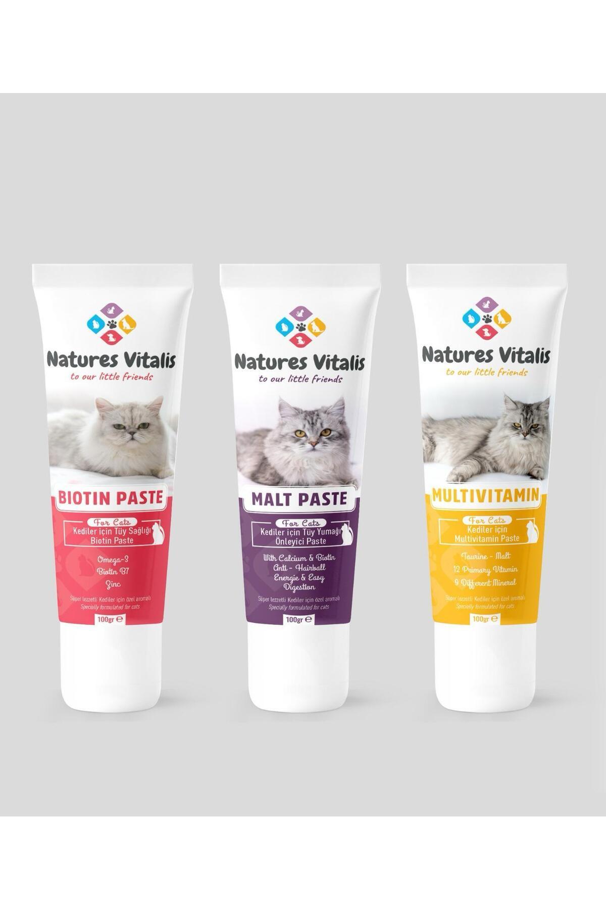 Natures Vitalis Multivitamin&biotin&malt Paste 3x100gr Fiyatı ...