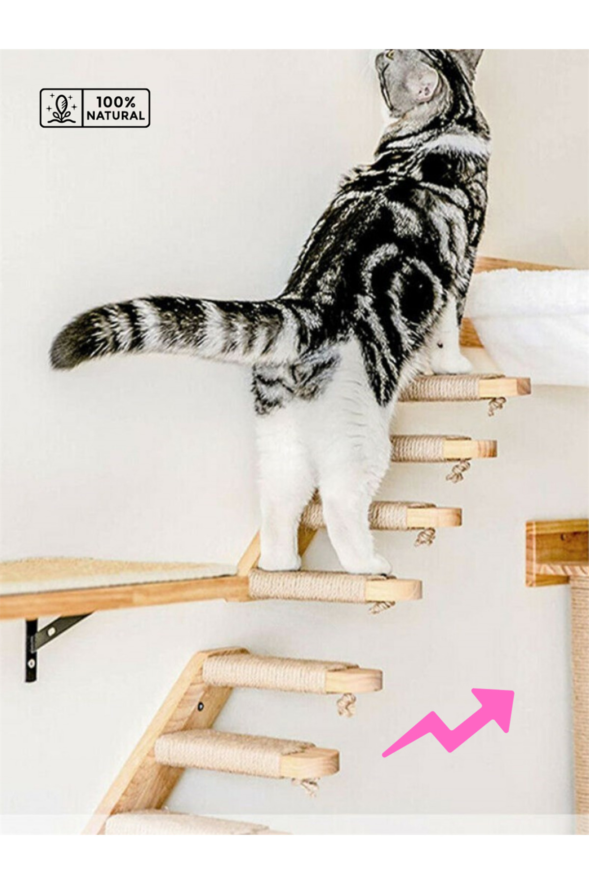 BUSHOP Doğal Kedi Tırmanma Ve Tırmalama Merdiveni Ahşap Tasarım Duvara ...