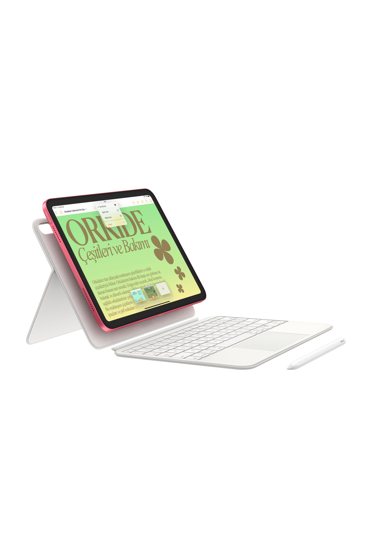 Apple iPad 10. Nesil 256 GB 10.9" Wi-Fi Pembe Tablet (Apple Türkiye ...