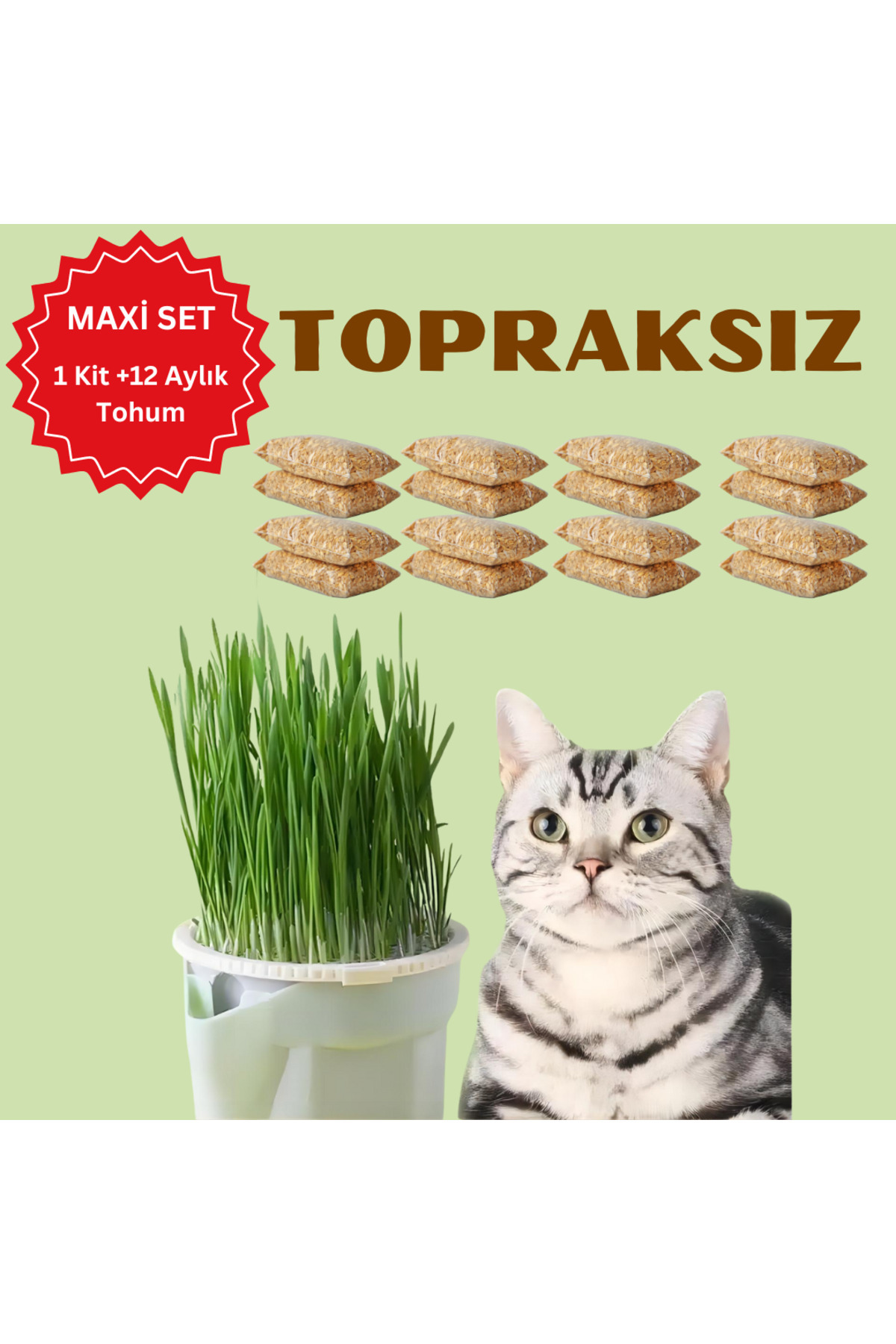 Exelox (MAXİ SET- 12 AYLIK KULLANIM) Topraksız Suda Kedi Çimi ...