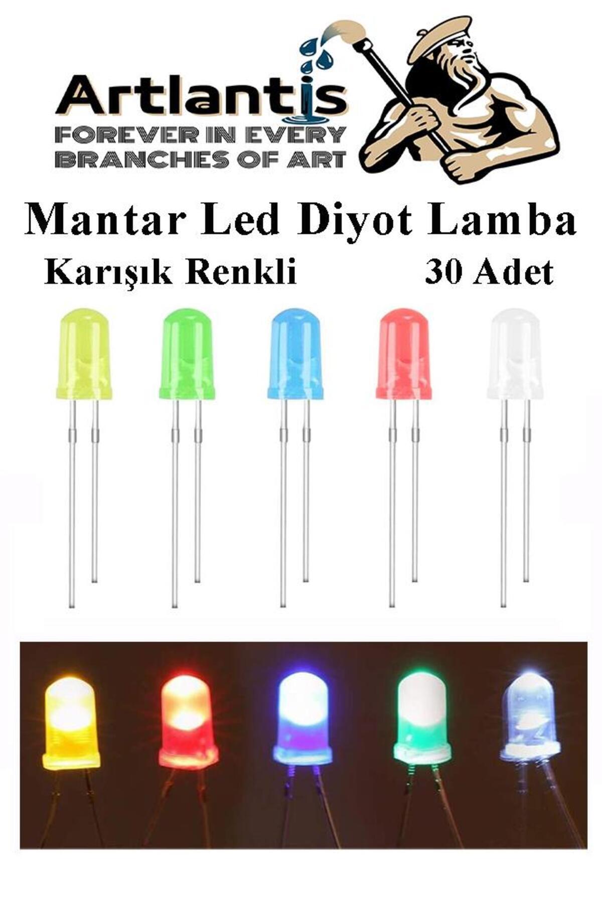 Artlantis Mantar Led Diyot Lamba 30 lu 1 Paket Karışık Renkli 4.8 mm Mini Mantar Led Lamba ...