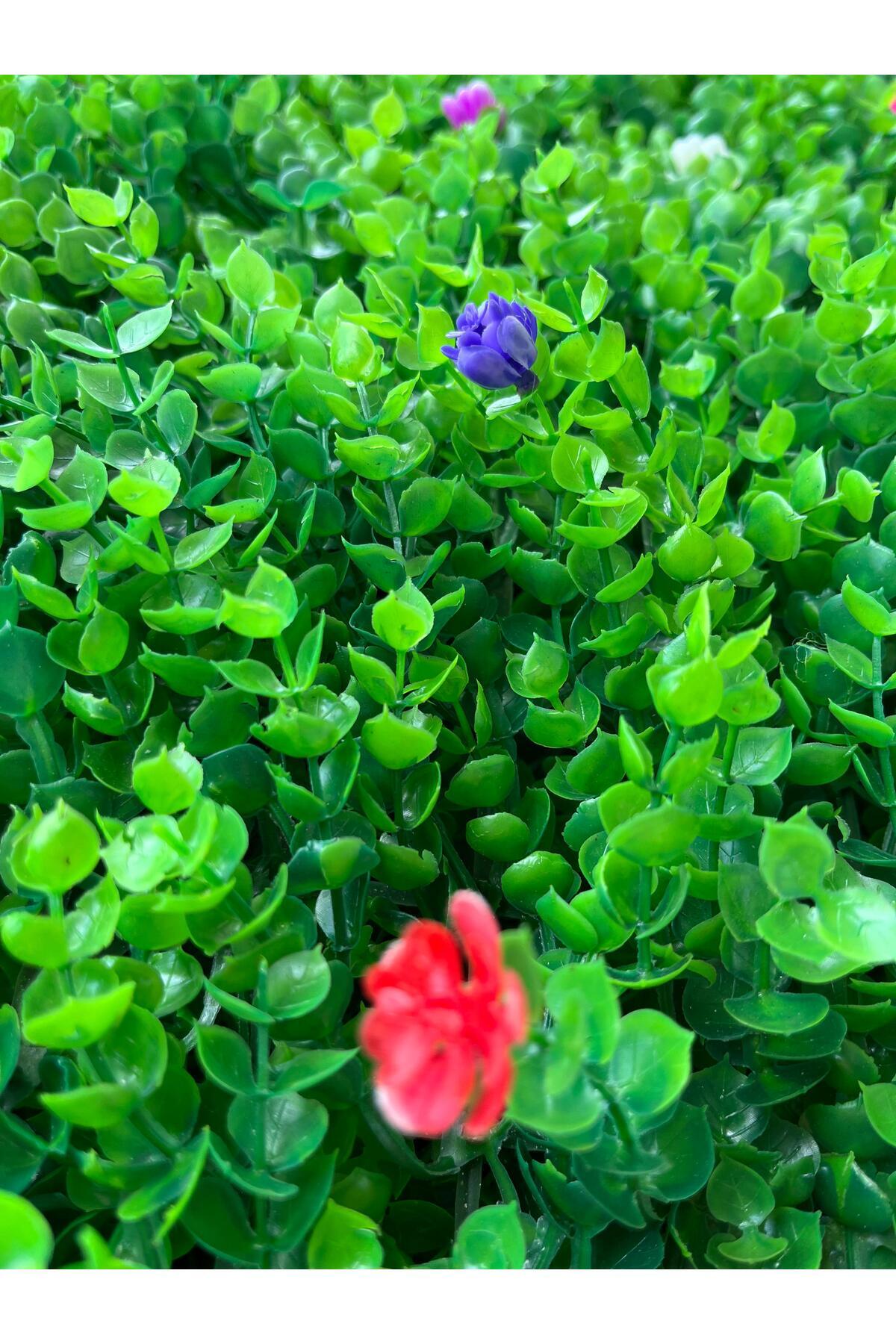 DDTREND Dekoratif Yapay Bitki Duvar Kaplama Panel Şimşir Tabaka 40x60 ...