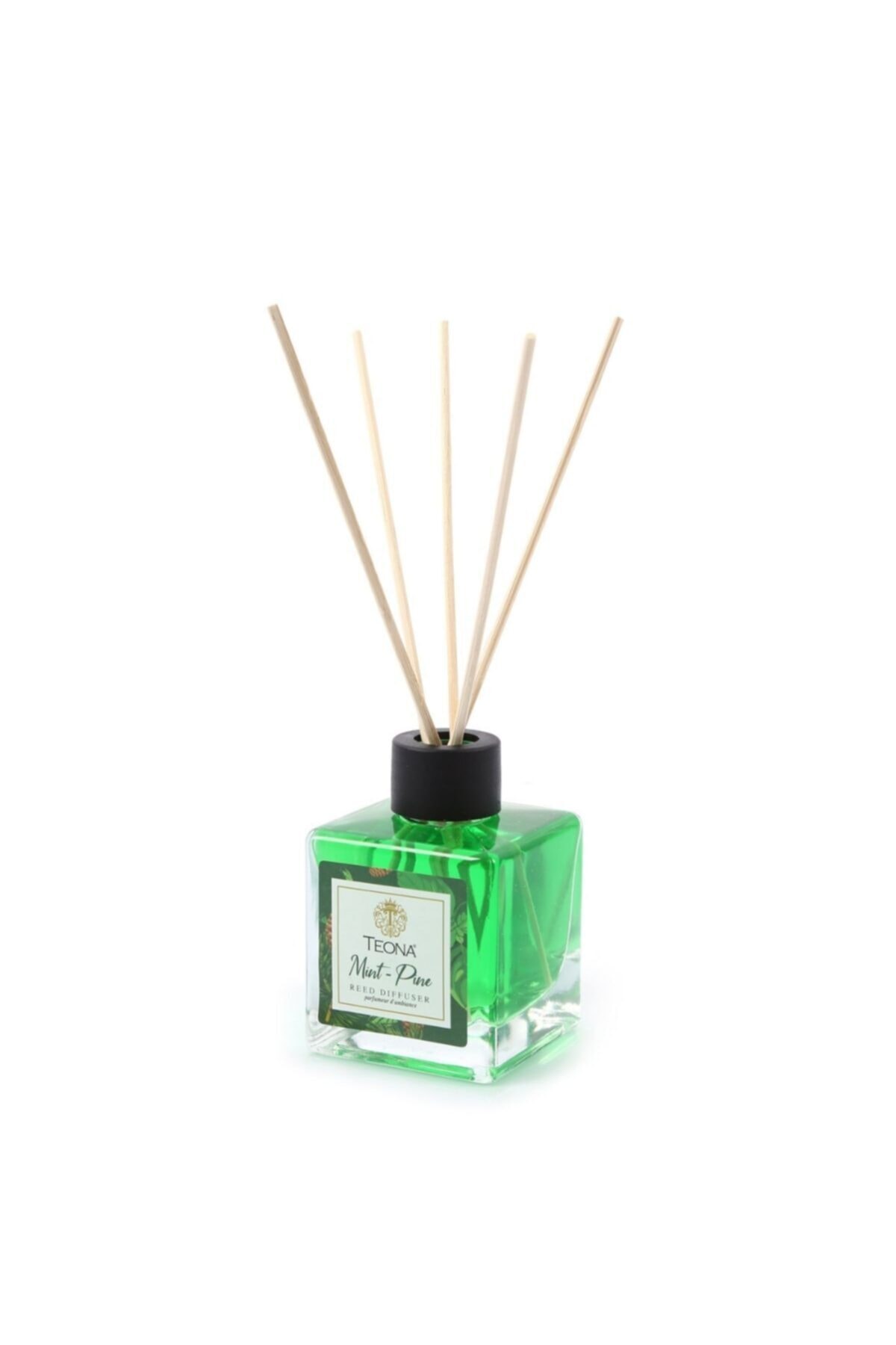 TEONA Reed Diffuser Mint Pine Bambu Çubuklu Oda Kokusu 110 Ml Fiyatı ...