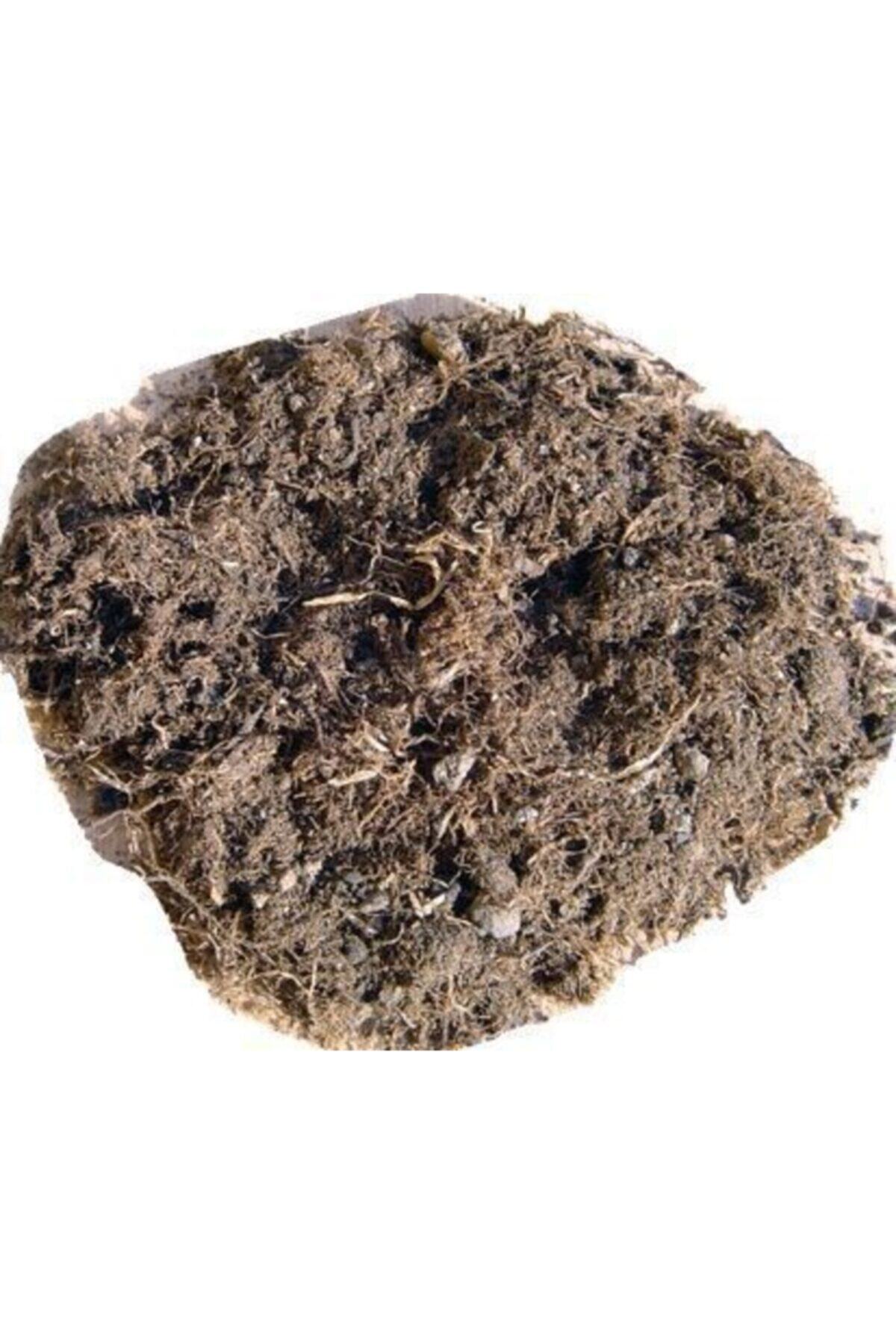 Agrobazaar Çim Kapak Toprağı 25 Lt - Fiyatı, Yorumları