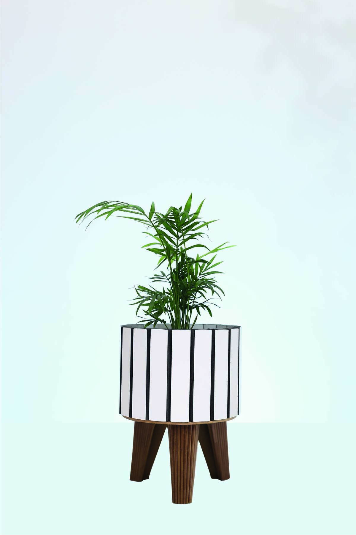 Hakan Mobilya Modern Pine Color Brown Castle Model - Footed Flower Pot ...