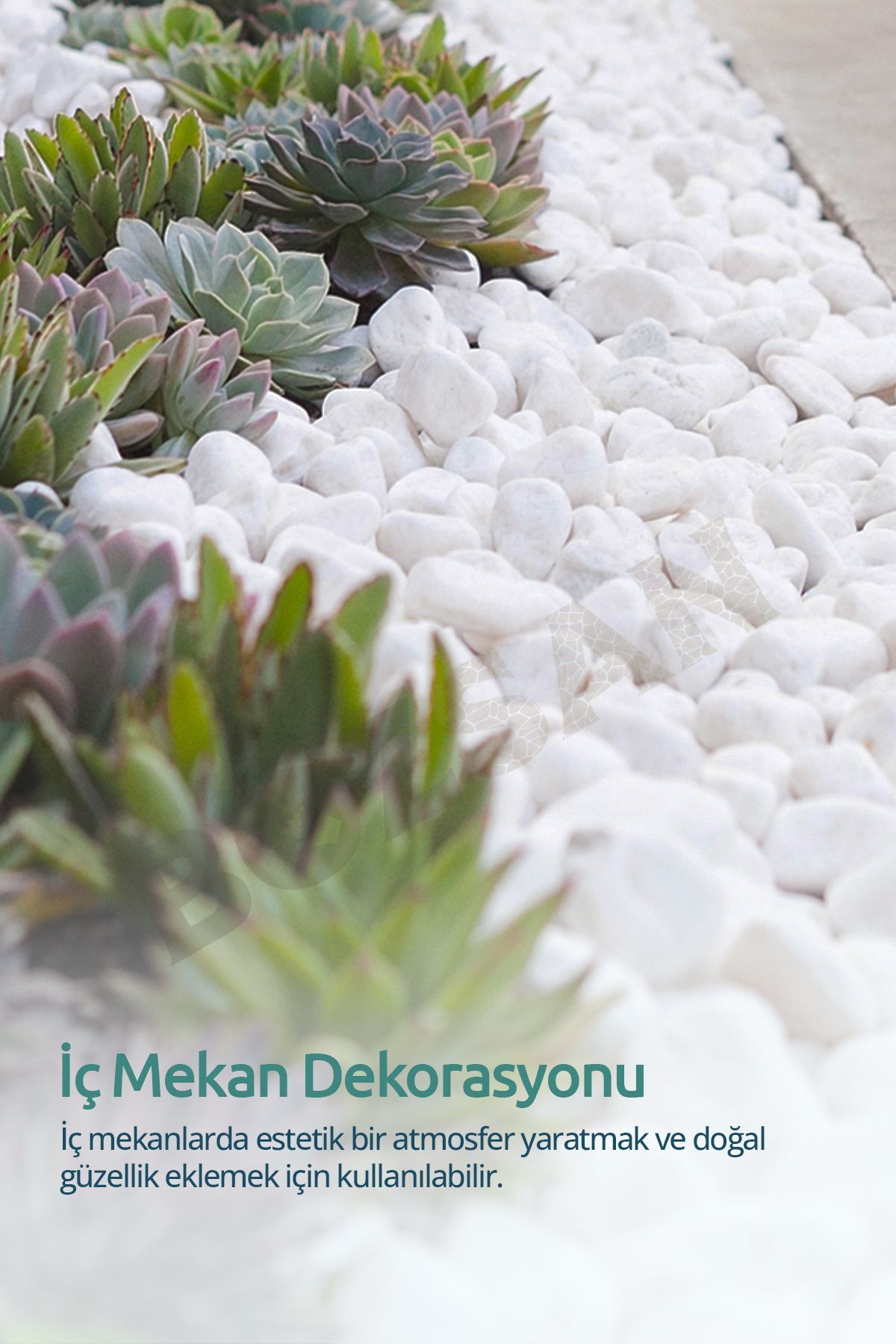 Bozsan Beyaz Dolomit Taş 10 Kg 2-4cm 10 Dolomit Taşı Bahçe Süs Akvaryum ...