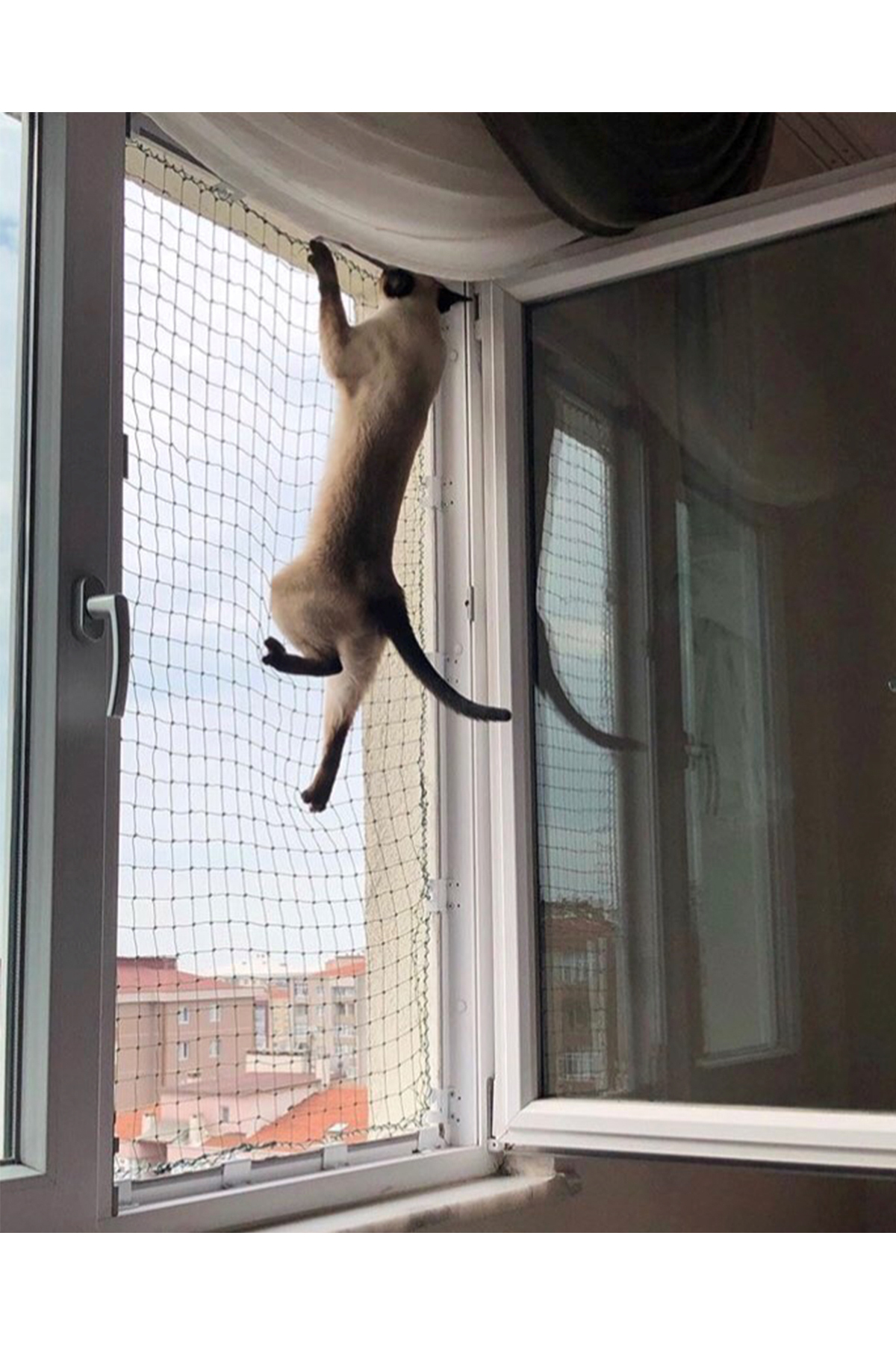 WINBLOCK Kediler Için Pencere Güvenlik Ağı, Kedi Filesi Sistemi (80 X ...