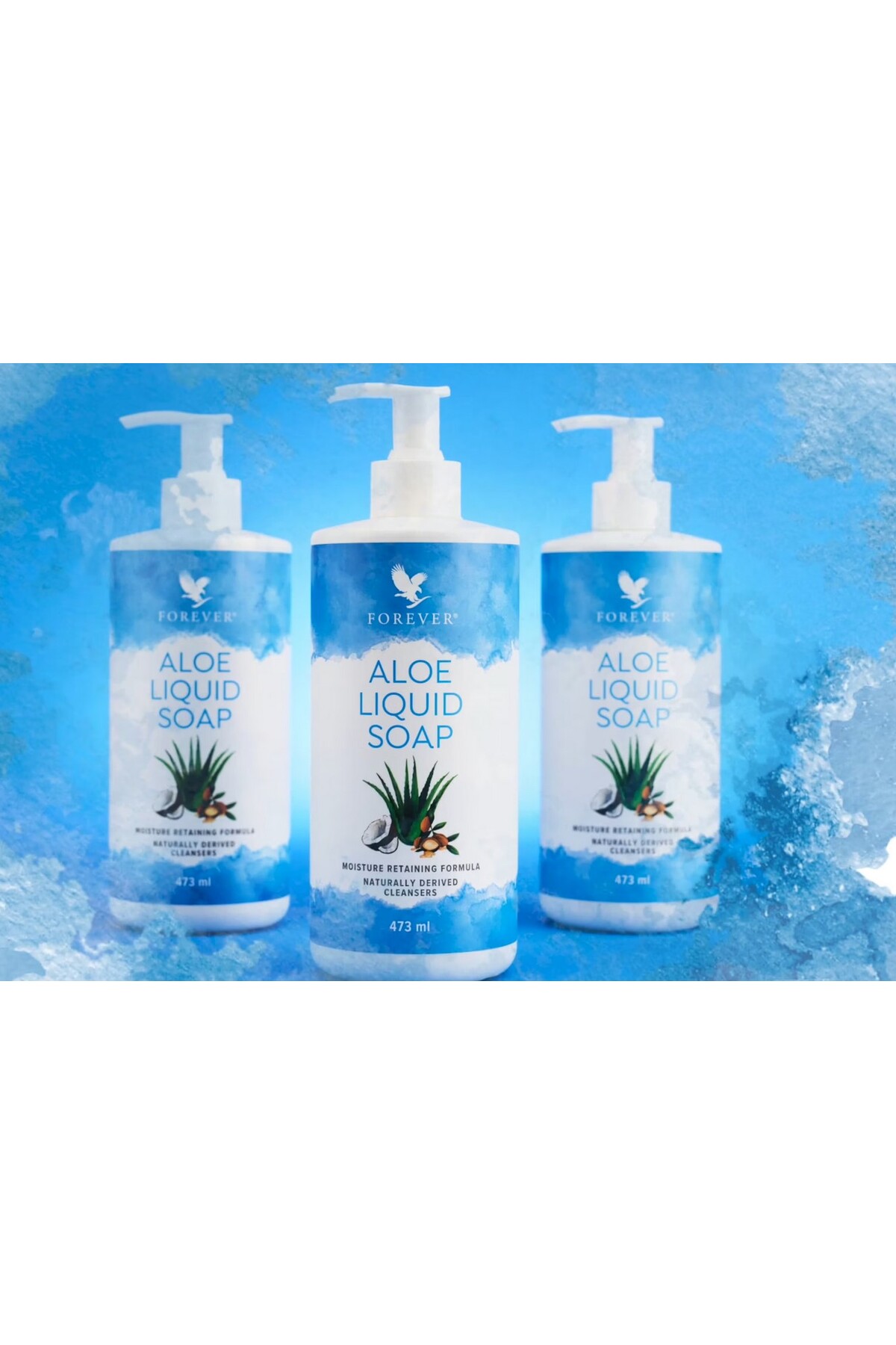 Forever Living Aloe Liquid Soap 473 ml - Fiyatı, Yorumları