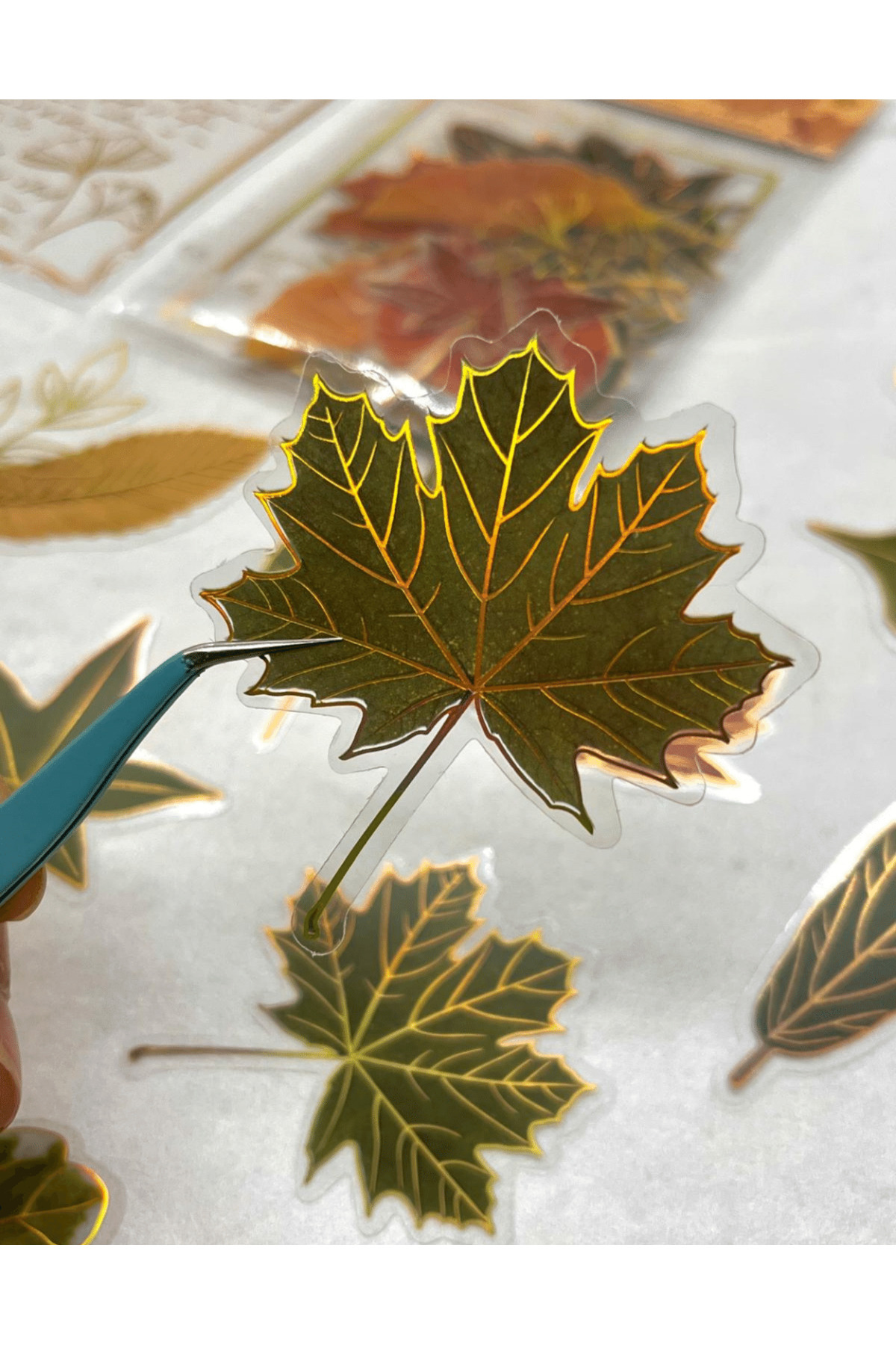TikiTi Store Nature Notes Series The Moment Of Fallıng Leaves 40 Adet ...