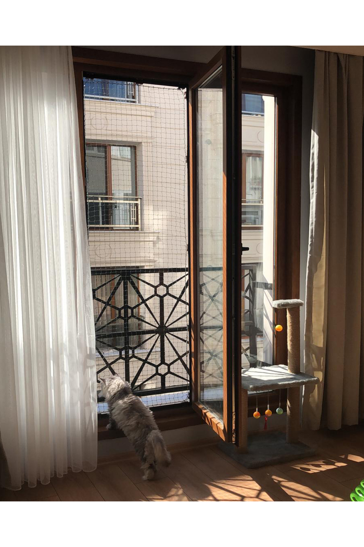 WINBLOCK Pets – Kediler Için Pencere Güvenlik Ağı, Kedi Filesi Sistemi ...