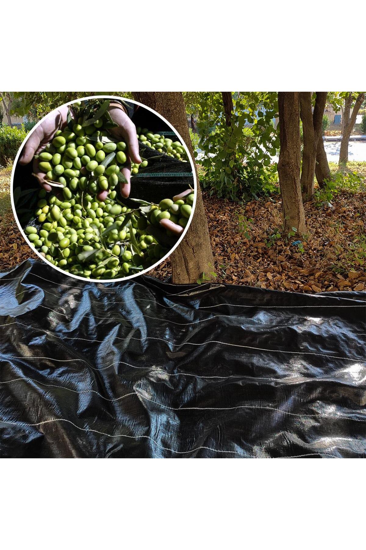 SeraTrend 5X12 METRE ZEYTİN SERGENİ ZEYTİN TOPLAMA ÖRTÜSÜ FINDIK FISTIK ...