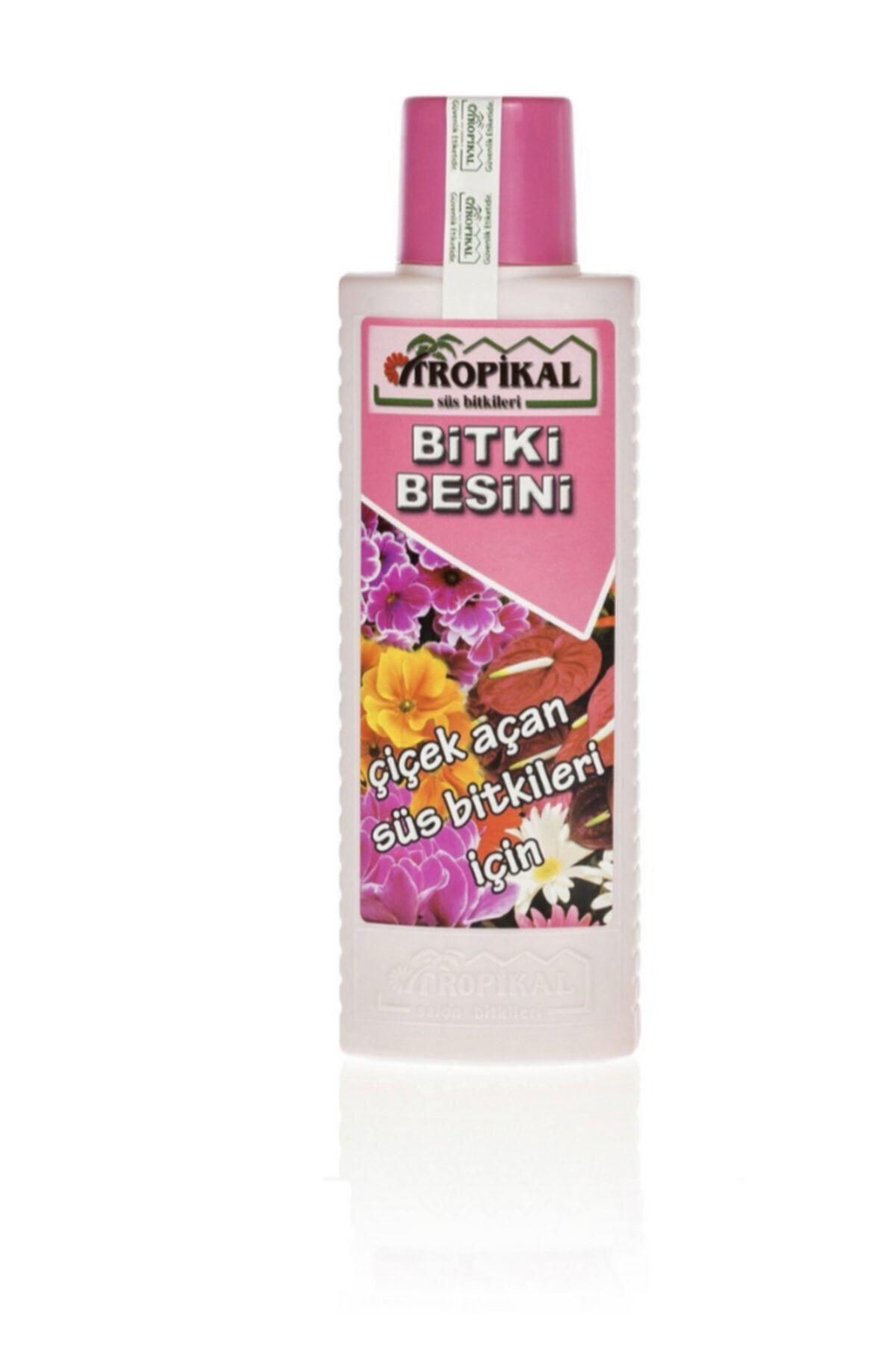 Fidan Botanik Tropikal Bitki Besini Çiçek Açan Süs Bitkileri Fiyatı ...
