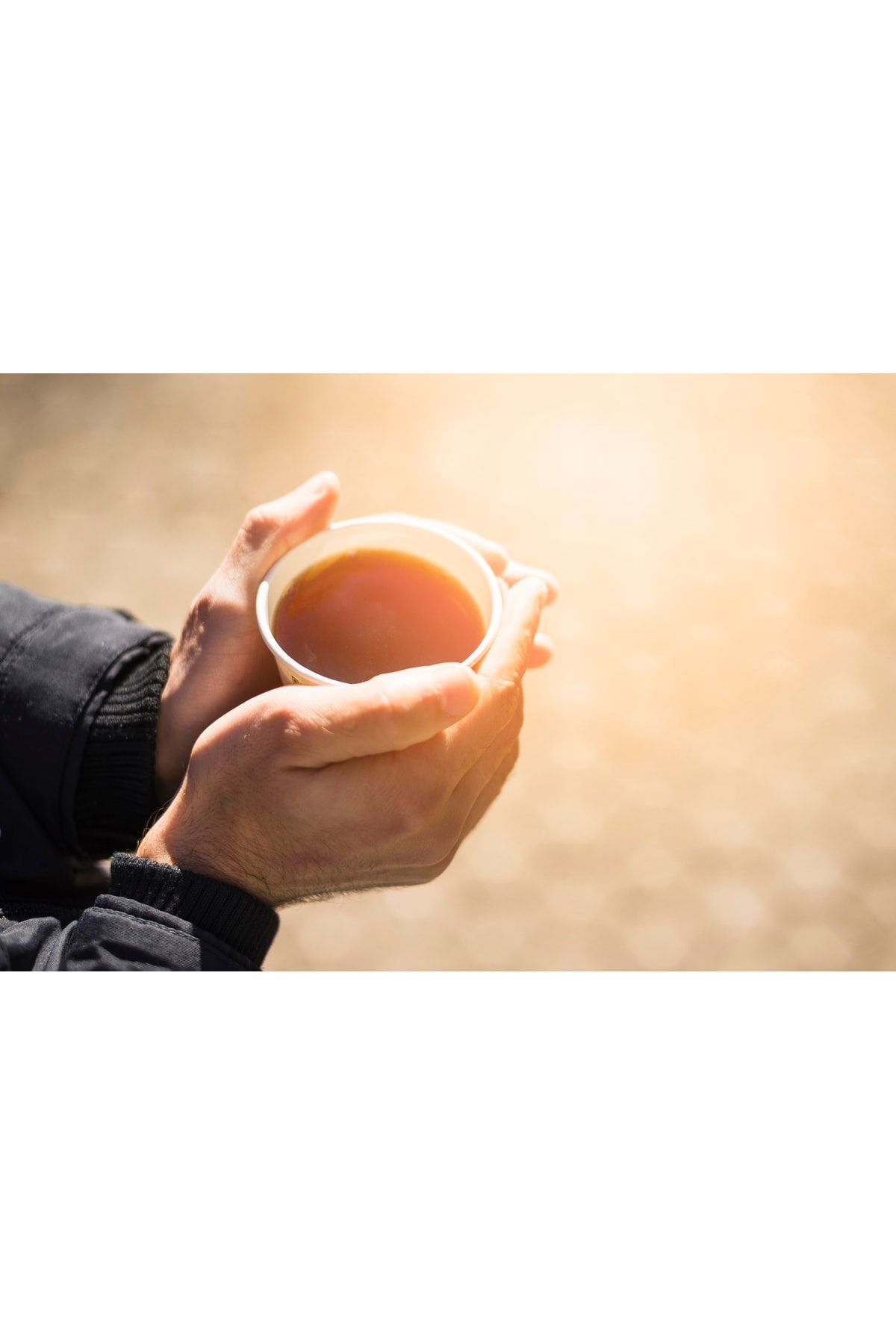 Organik Teyze Sevinç Teyze Bilye Kekik, Top Kekik, Bilya Kekik, Oregano ...