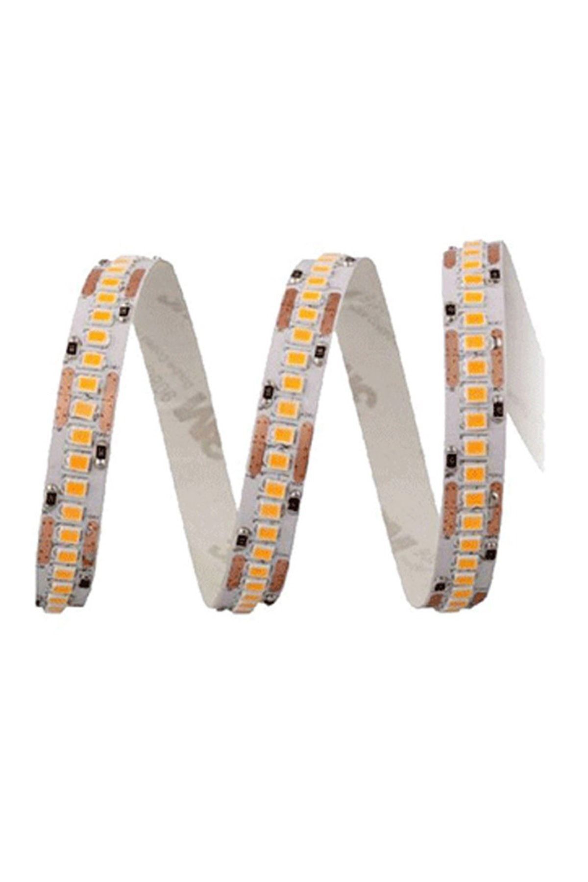 Cata Ct-4538 5m 15w 240 Çipli Günışığı Iç Mekan Şerit Led Fiyatı ...