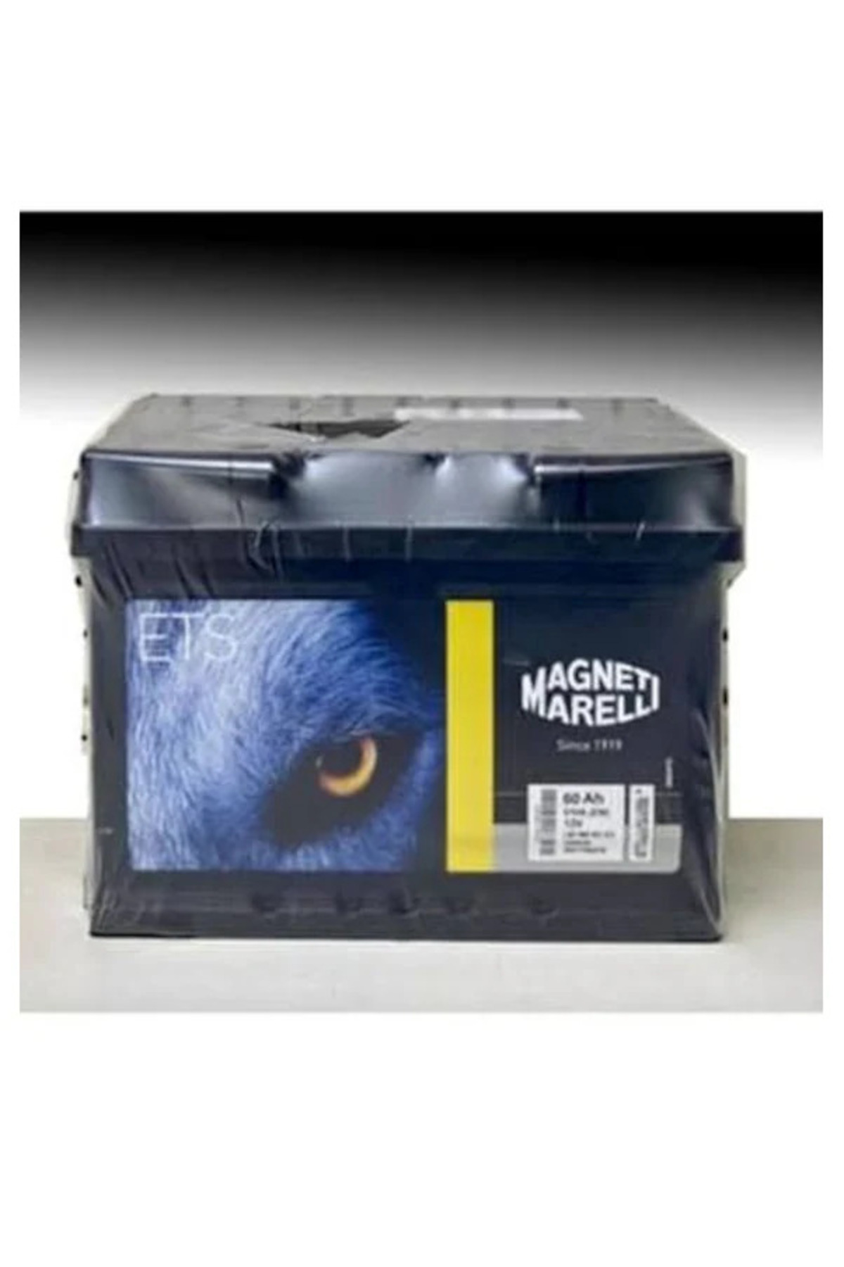 MAGNETTİ MARELLİ 60 Amper Magnetti Marelli Akü (2021) - Fiyatı, Yorumları