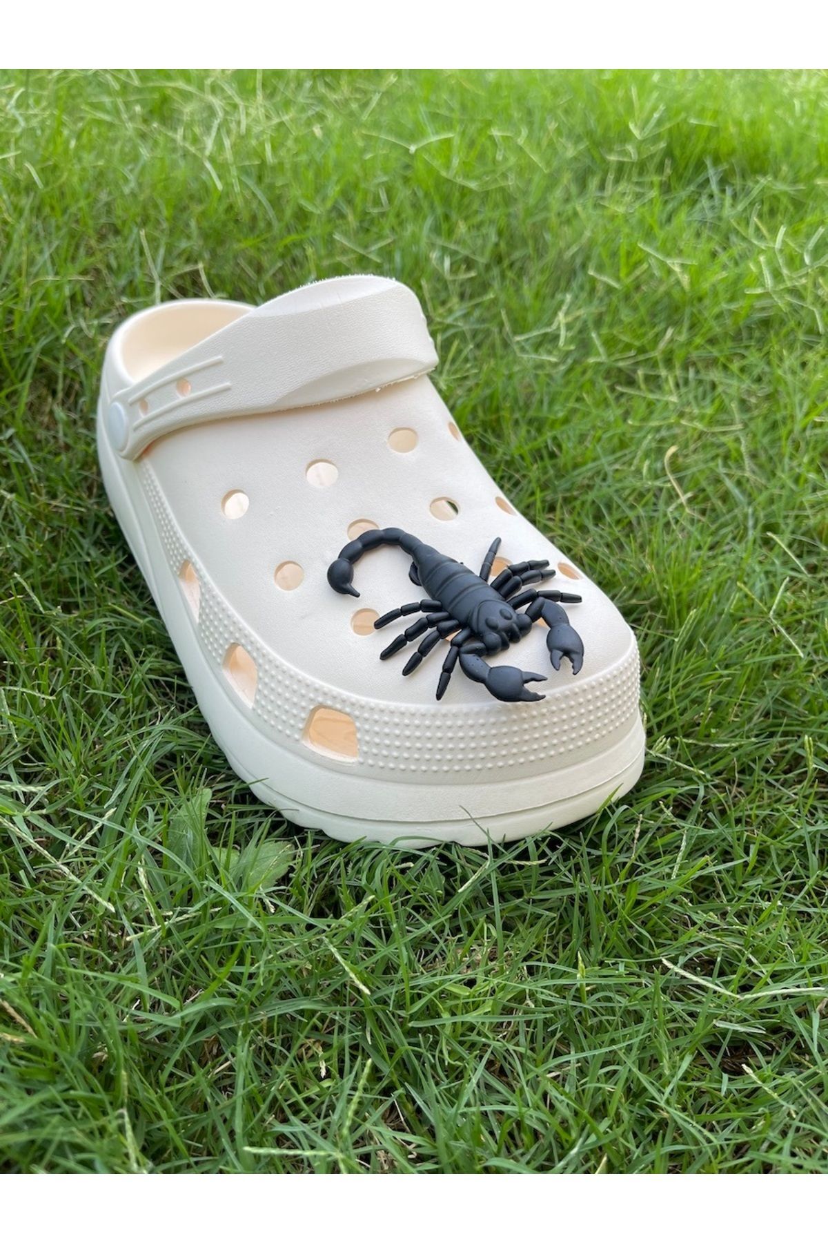 Zodiac sign crocs 60 photos - Astrologytoyou.com