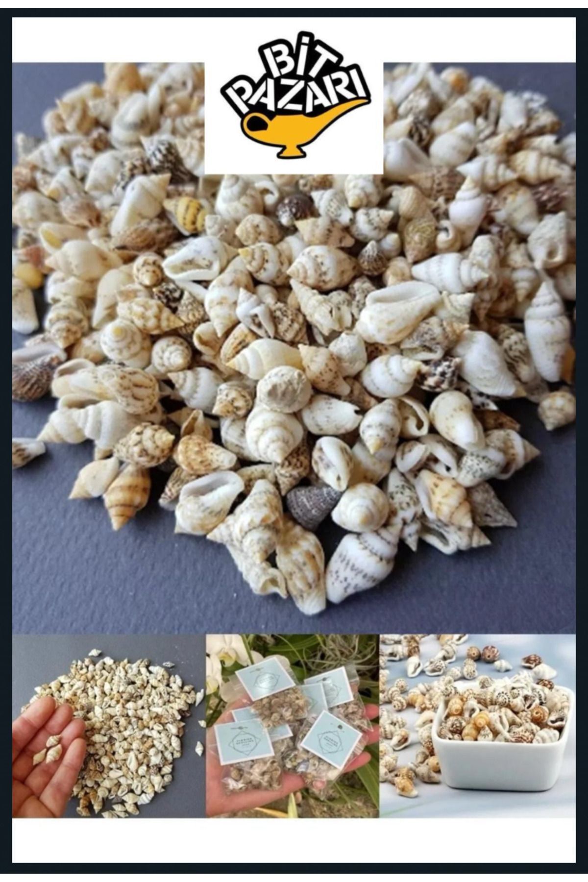 izmir Bitpazarı 250 Adet Nassa Shell Doğal Deniz Kabuğu ( Epoksi Dekor Kabuğu ) ( Boyut Ortalama ...