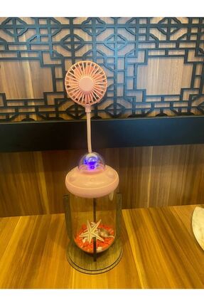 balık fanusu Fiyatları ve Modelleri - Trendyol