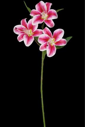 Uzun Yapay Çiçek Fiyatları ve Modelleri - Trendyol