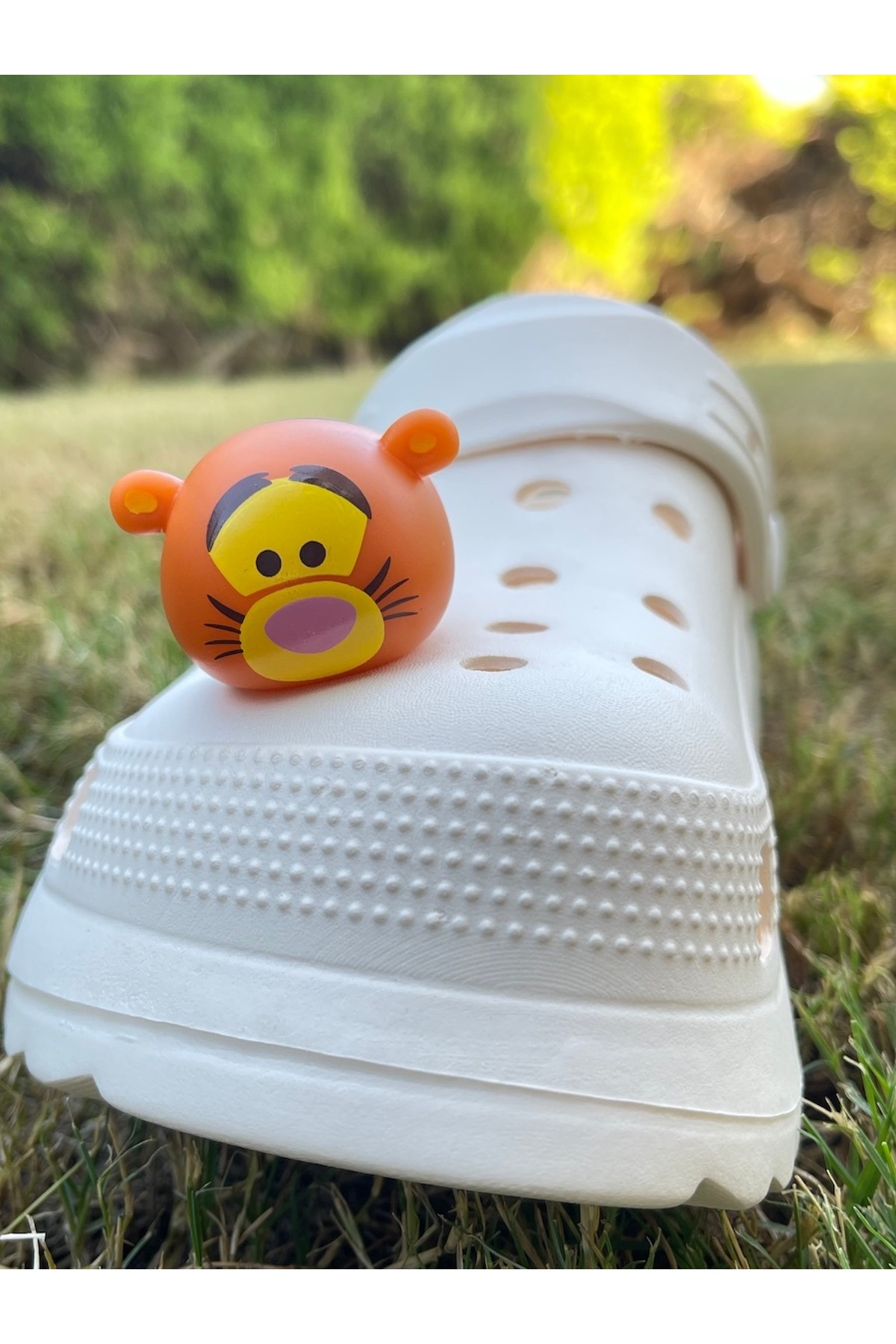 Crocs Kaplan Tigger Terlik Süsü Üç Boyutlu/Kaplanlı Jibbitz/Winnie The ...