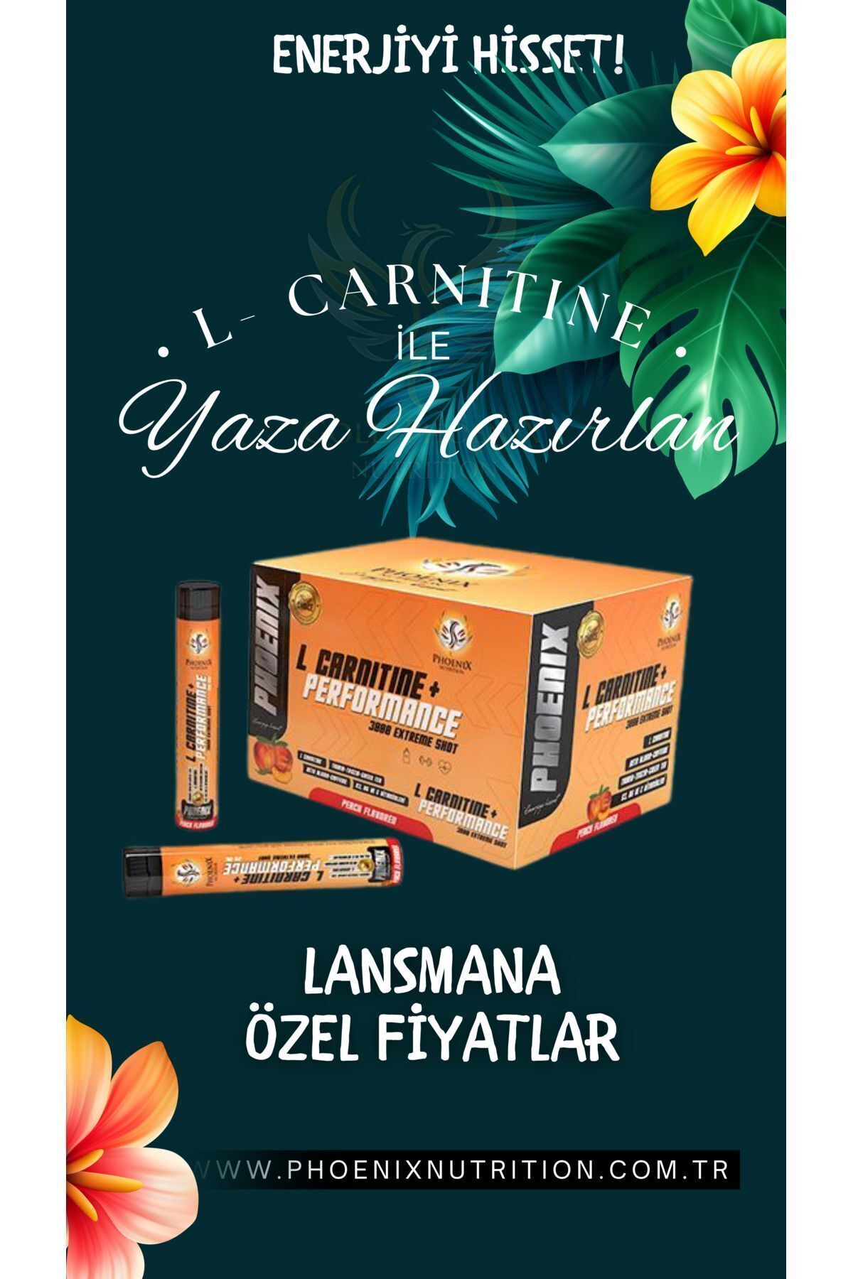 phoenix nutrition L-carnitine Performance Fiyatı, Yorumları - Trendyol