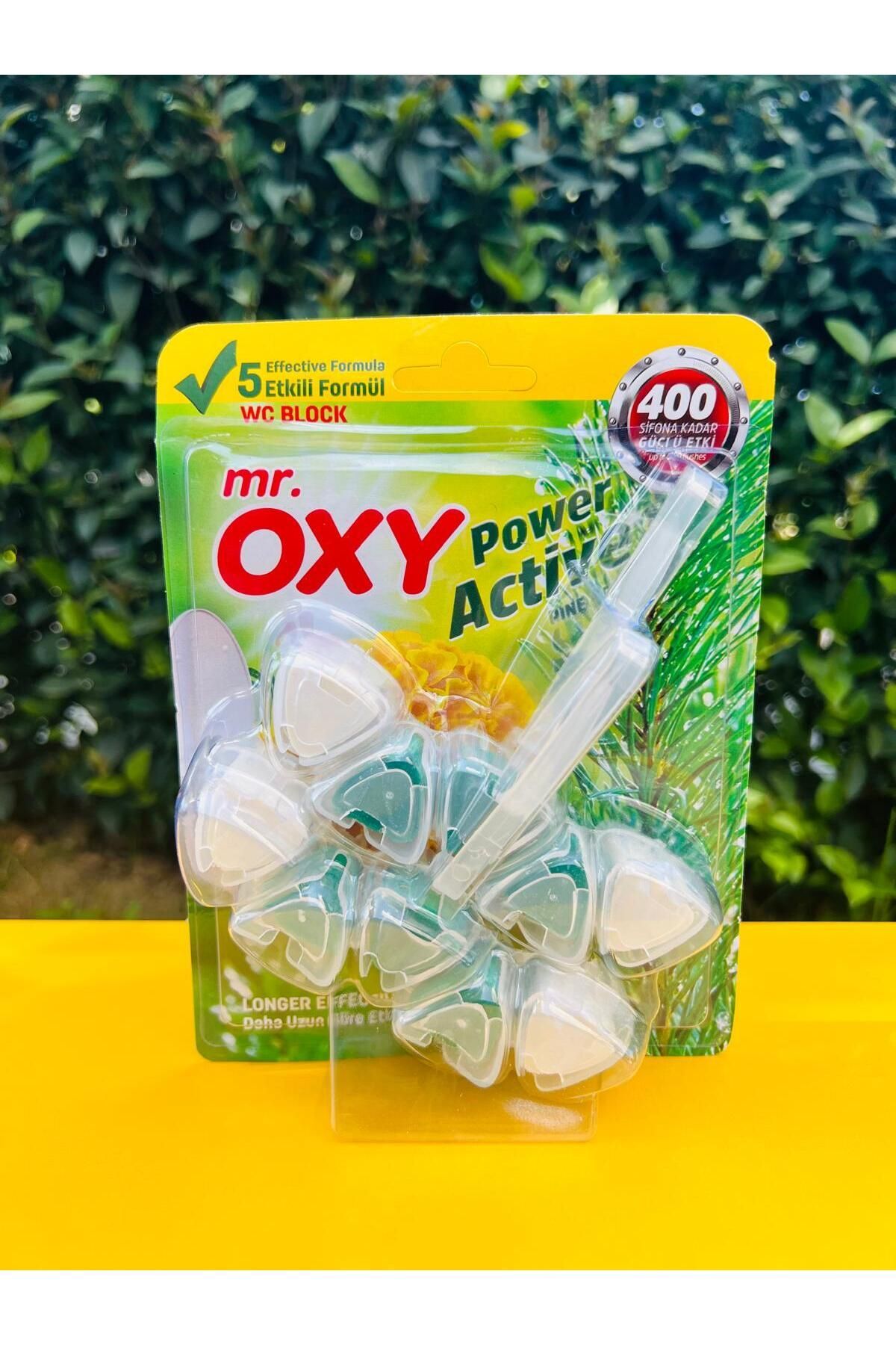 Oxy WC KLOZET BLOĞU 2 Lİ ÇAM MR.OXY - Fiyatı, Yorumları