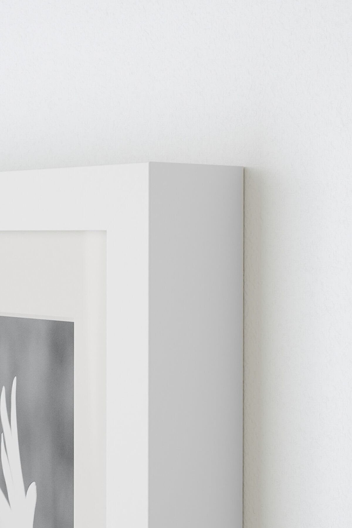 IKEA Ribba 30x40 Beyaz Paspartulu Çerçeve - Fiyatı, Yorumları