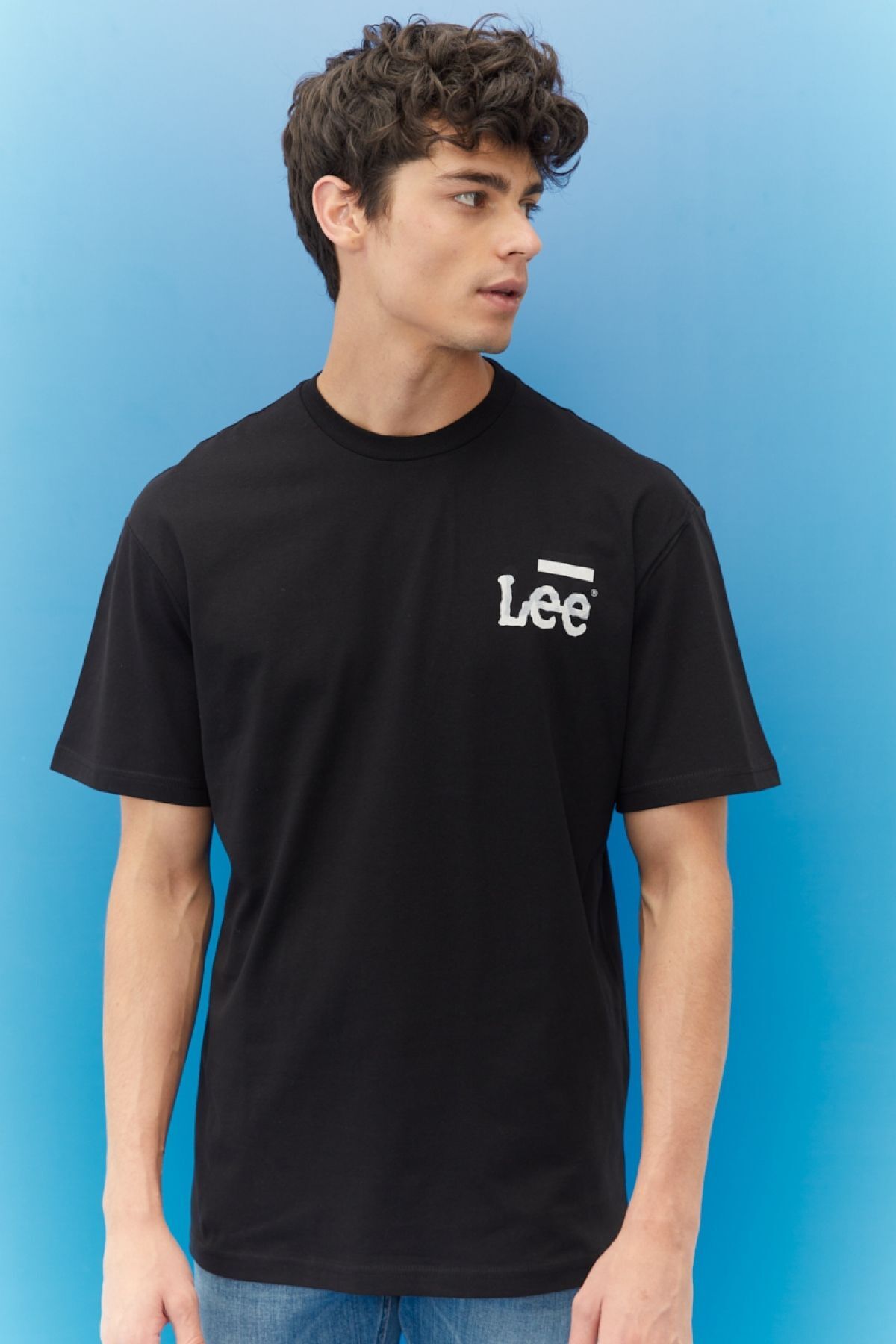 Lee Regular Fit Normal Kesim %100 Pamuk Bisiklet Yaka Tişört Fiyatı ...