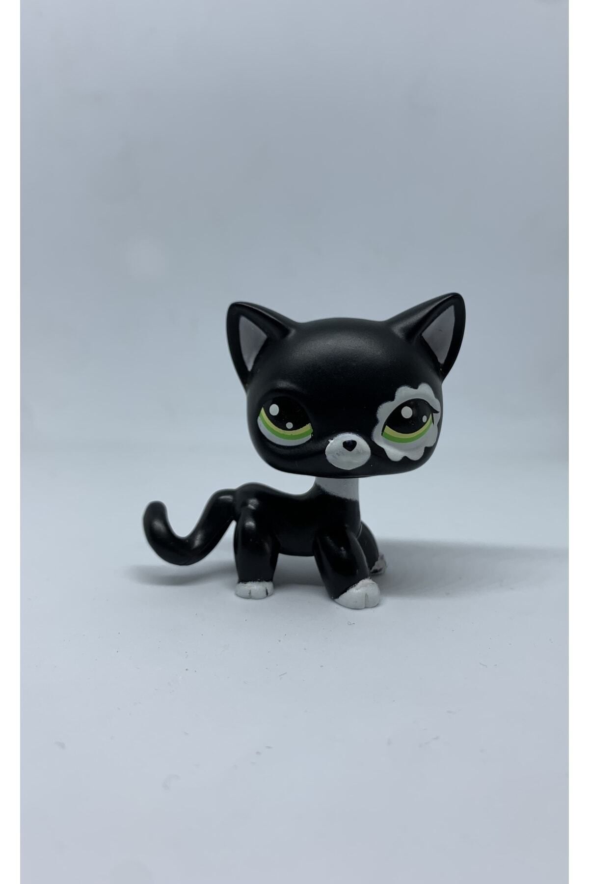 Littlest Pet Shop Lps Kedi Miniş Fiyatı, Yorumları - Trendyol