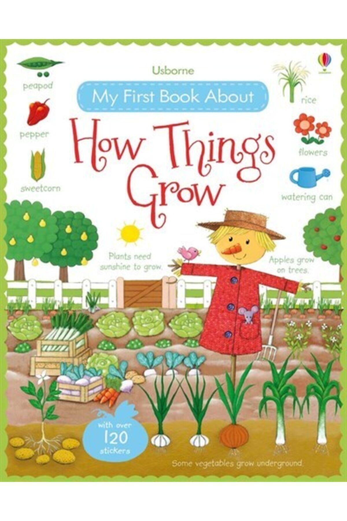 Usborne My First Book About How Things Grow Fiyatı, Yorumları - Trendyol