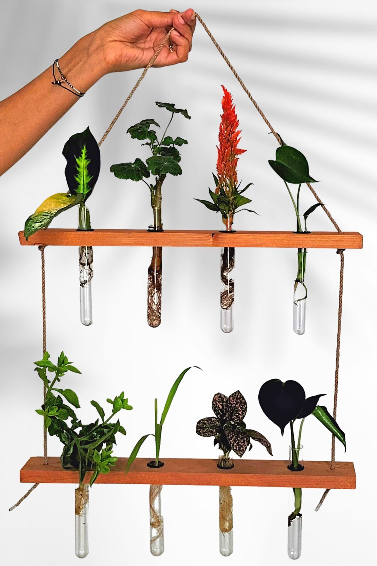 Art inside Ahşap Standlı Cam Tüplü Duvar Teraryumu Iç Dış Mekan ...