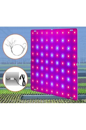 Bitki Yetiştirme Kabini Fiyatları ve Modelleri - Trendyol- Sayfa 2