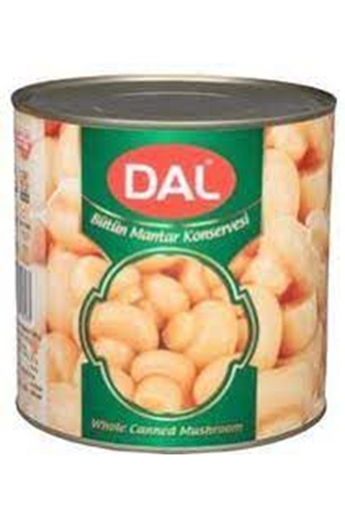 dalkon Dal Mantar Bütün Teneke 2850 Gr - Fiyatı, Yorumları
