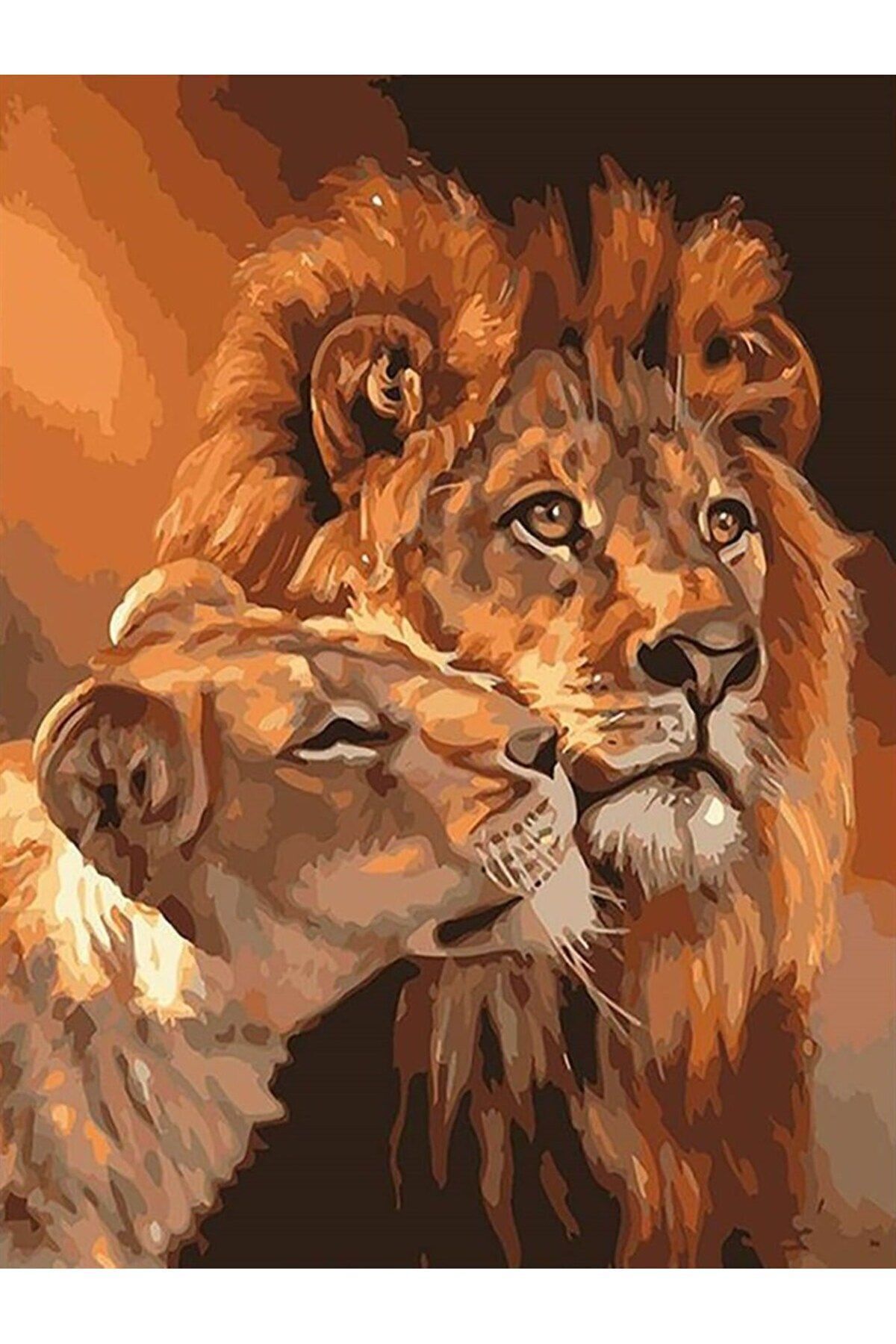 wombhobby Aslan Çifti Sayılarla Boyama Seti 40x 50 Cm (TUVALE GERİLİ ...