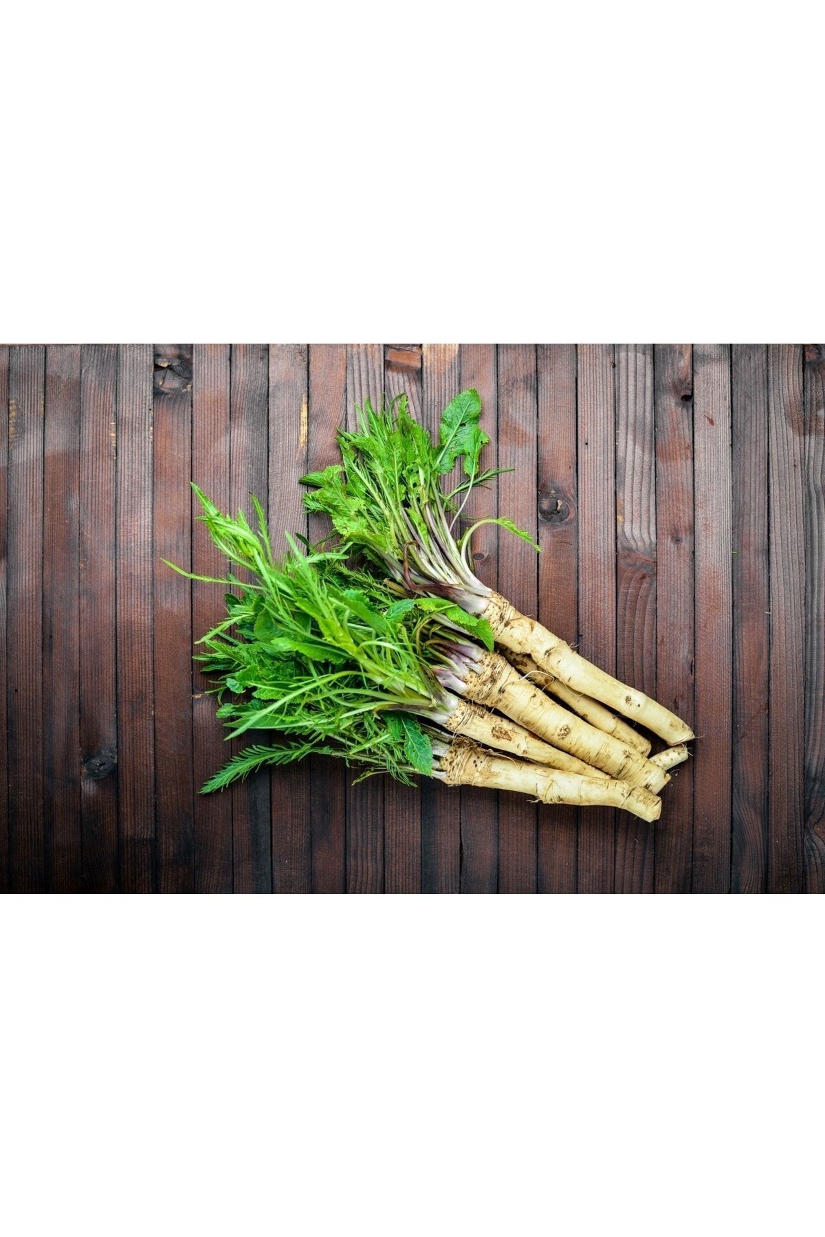 Boothas Yaban Turp Tohum 30 Adet + Saksı + Torf - Set - Fiyatı, Yorumları