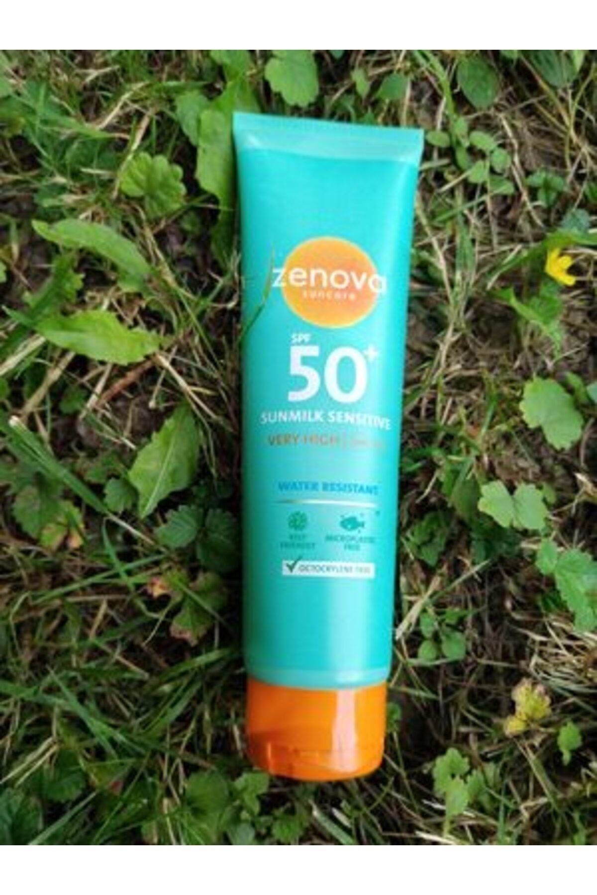 Zenova suncare spf 50 - Fiyatı, Yorumları