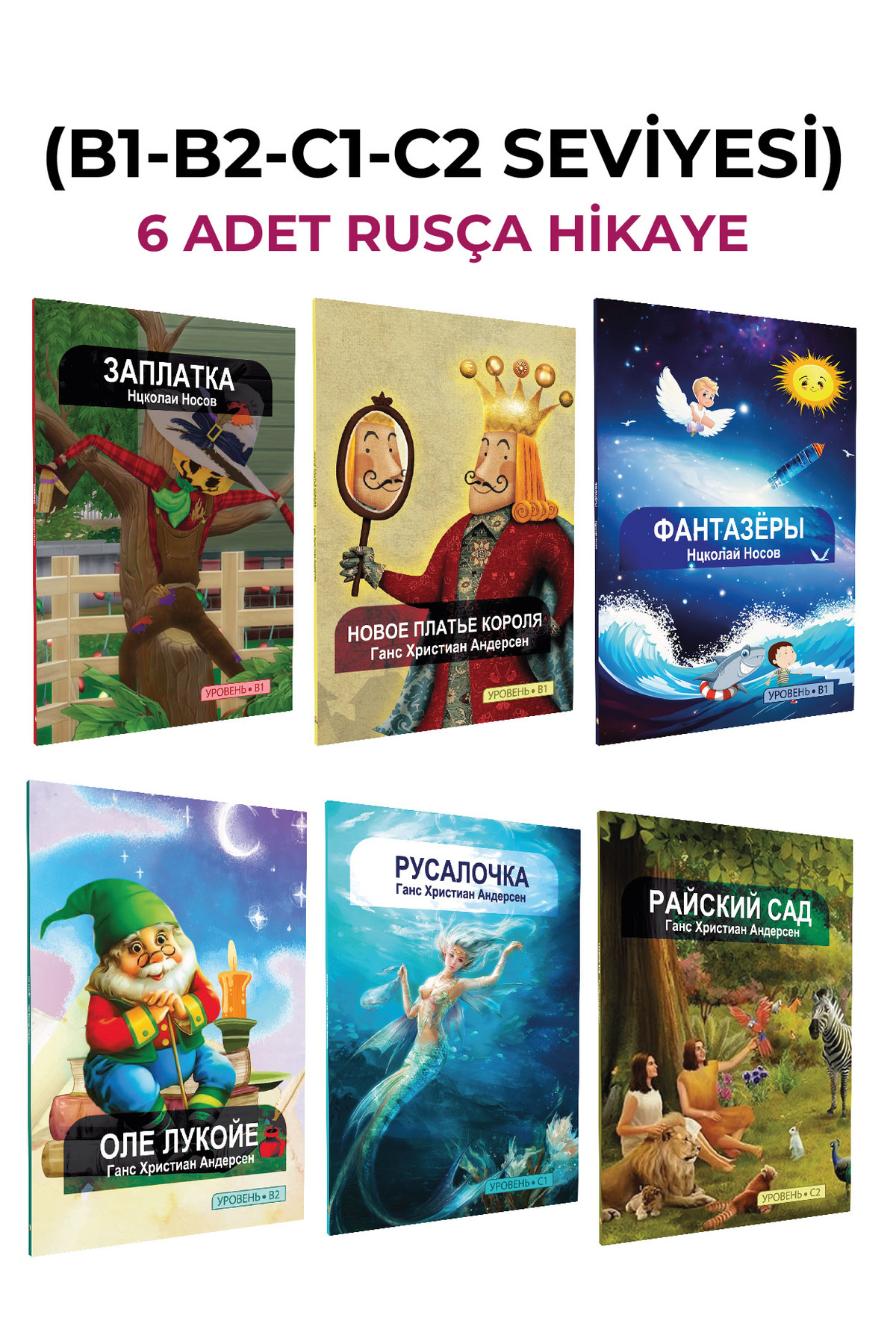 Kapadokya Yayınları RUSCA HİKAYE KİTABI SETİ B1+B2+C1+C2 SEVİYESİ 6 LI ...