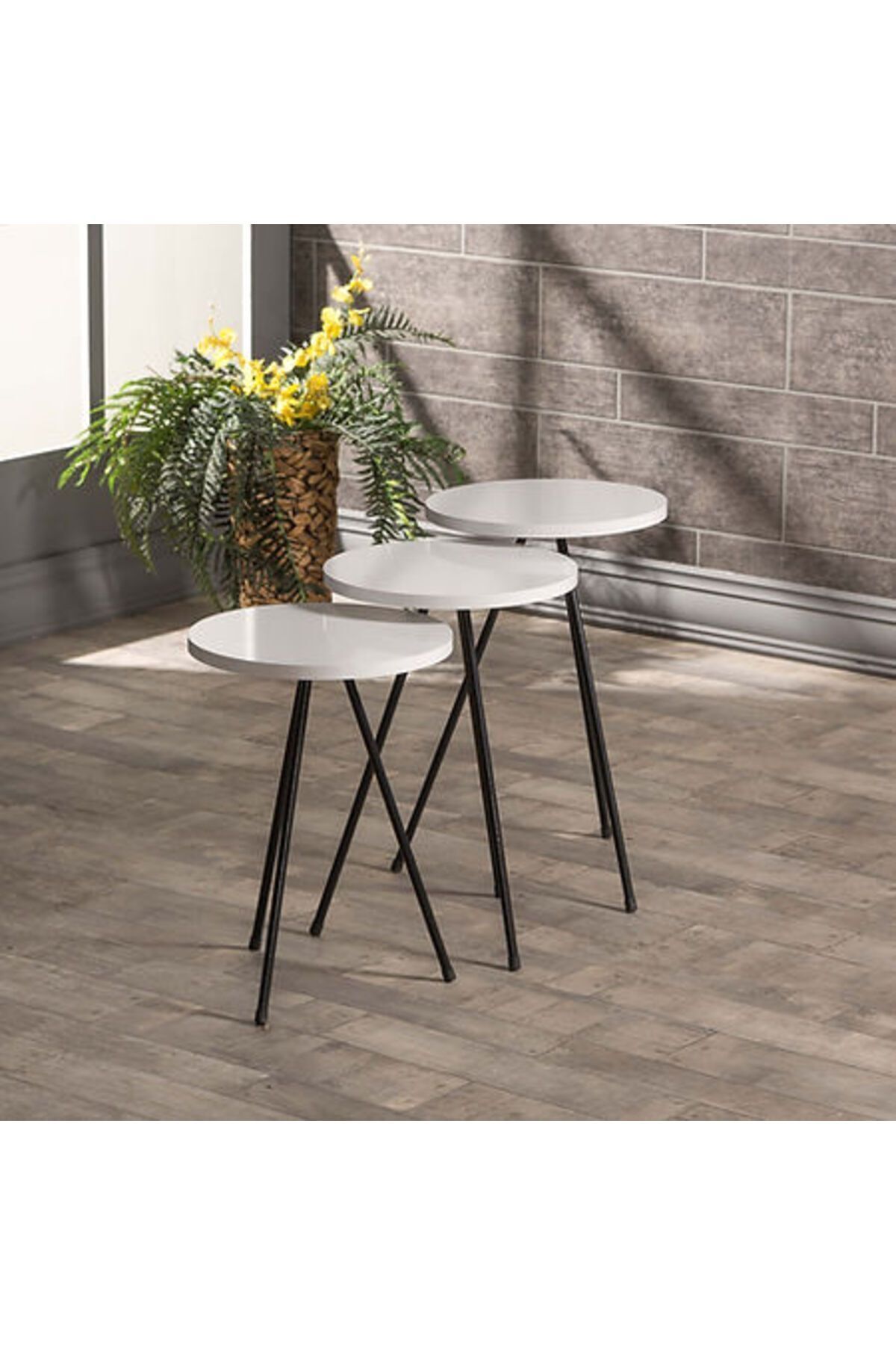 Golden Bark Serving Coffee Tables Set , 38CM, Add Elegance To Your Home ...