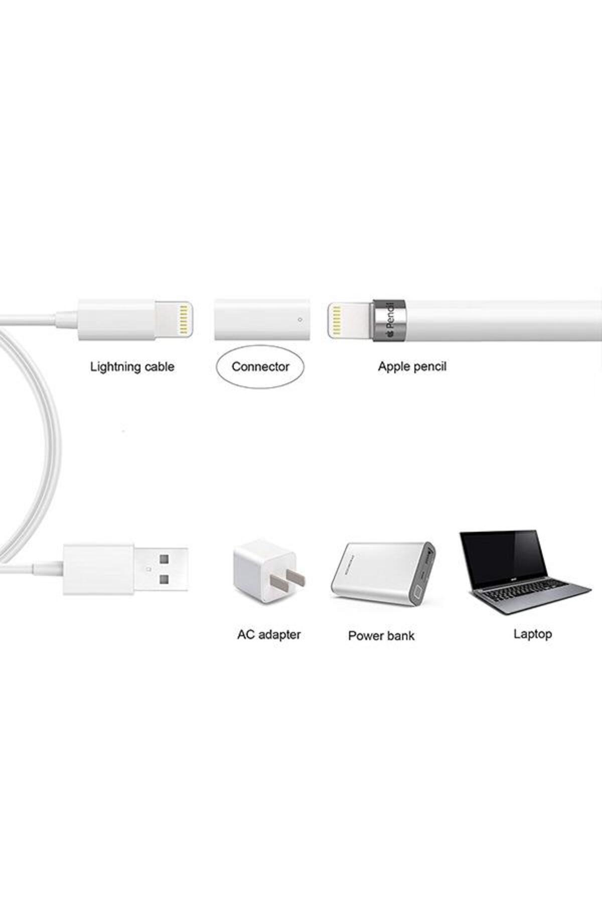 Genel Markalar Apple Pen Pencil Kalem Için Lightning Şarj Dönüştürücü ...