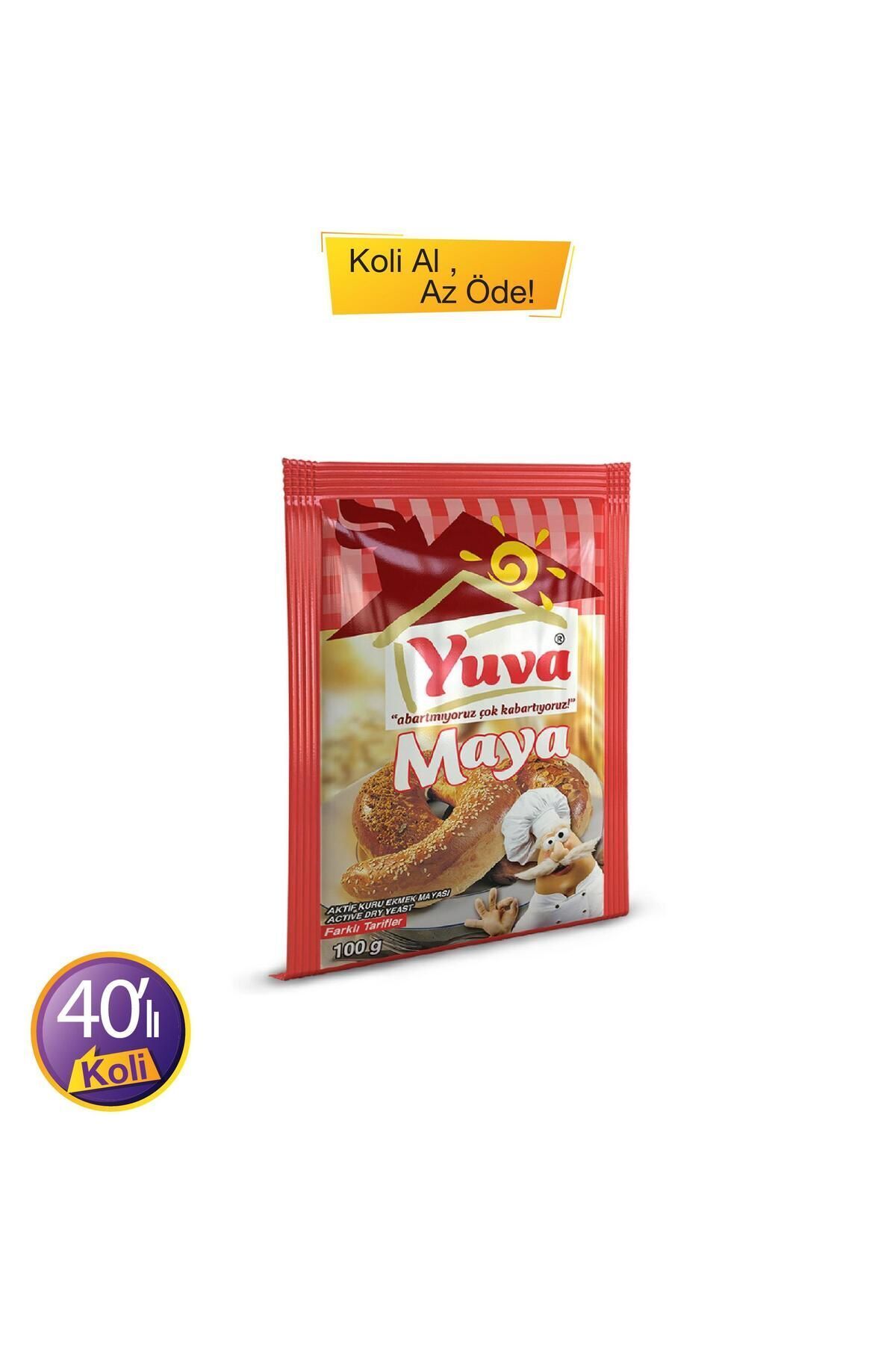 YUVA Aktif Kuru Maya 100 Gr. *40 (KOLİ) - Fiyatı, Yorumları