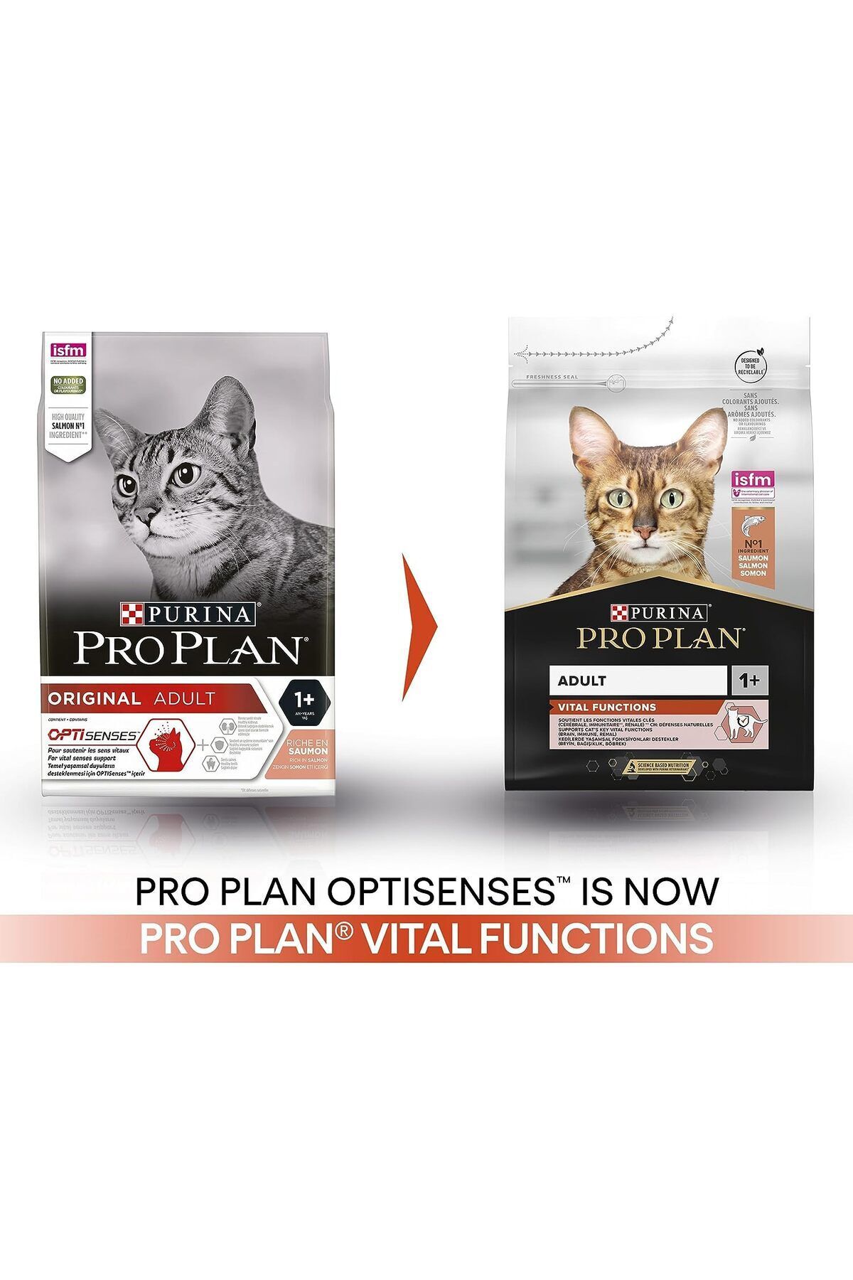 Pro Plan Pro Plan Cat Adult Somonlu 10 Kg Fiyatı, Yorumları - Trendyol
